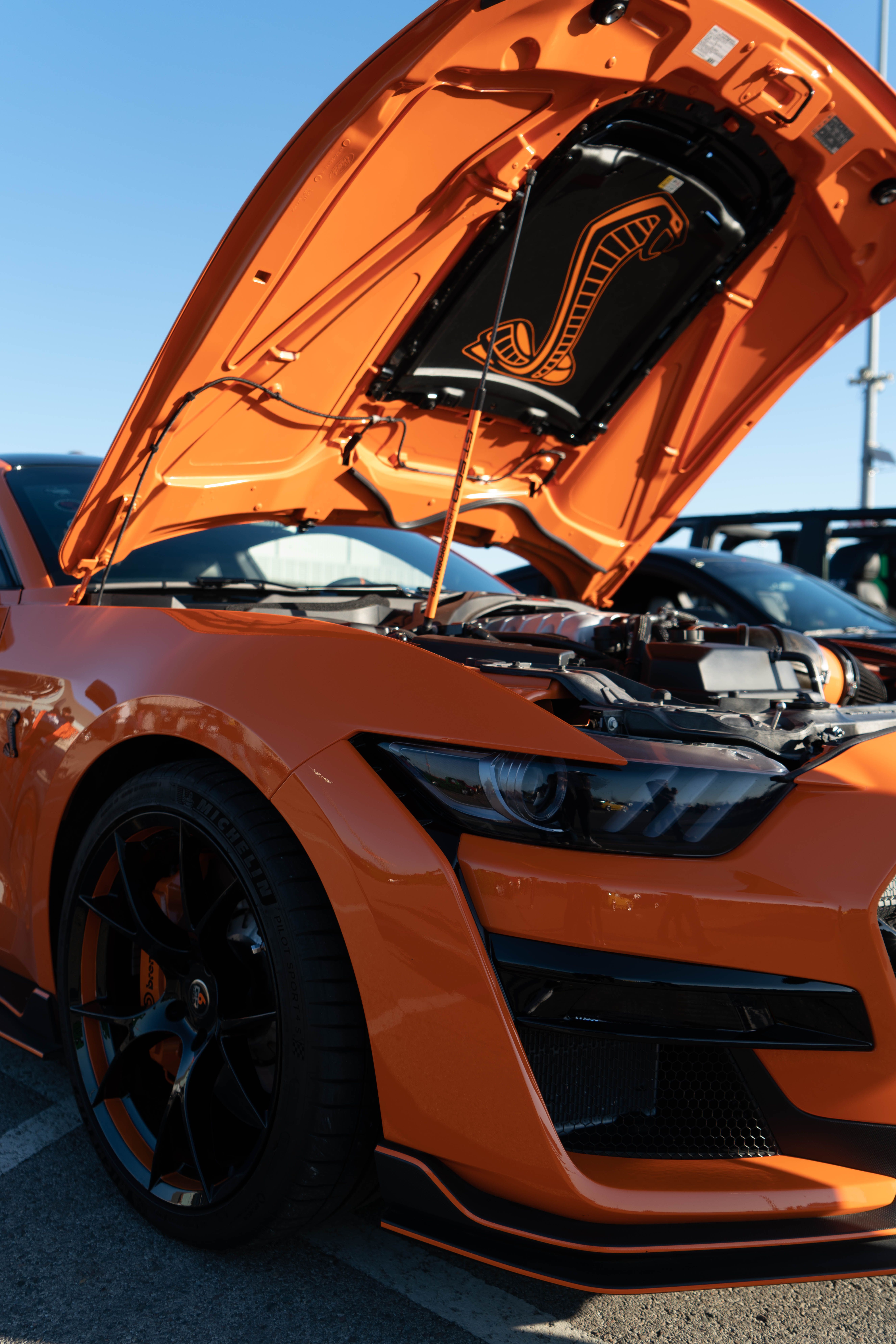 Photo gratuite de affichage du moteur, automobile, brillant, capot de ...