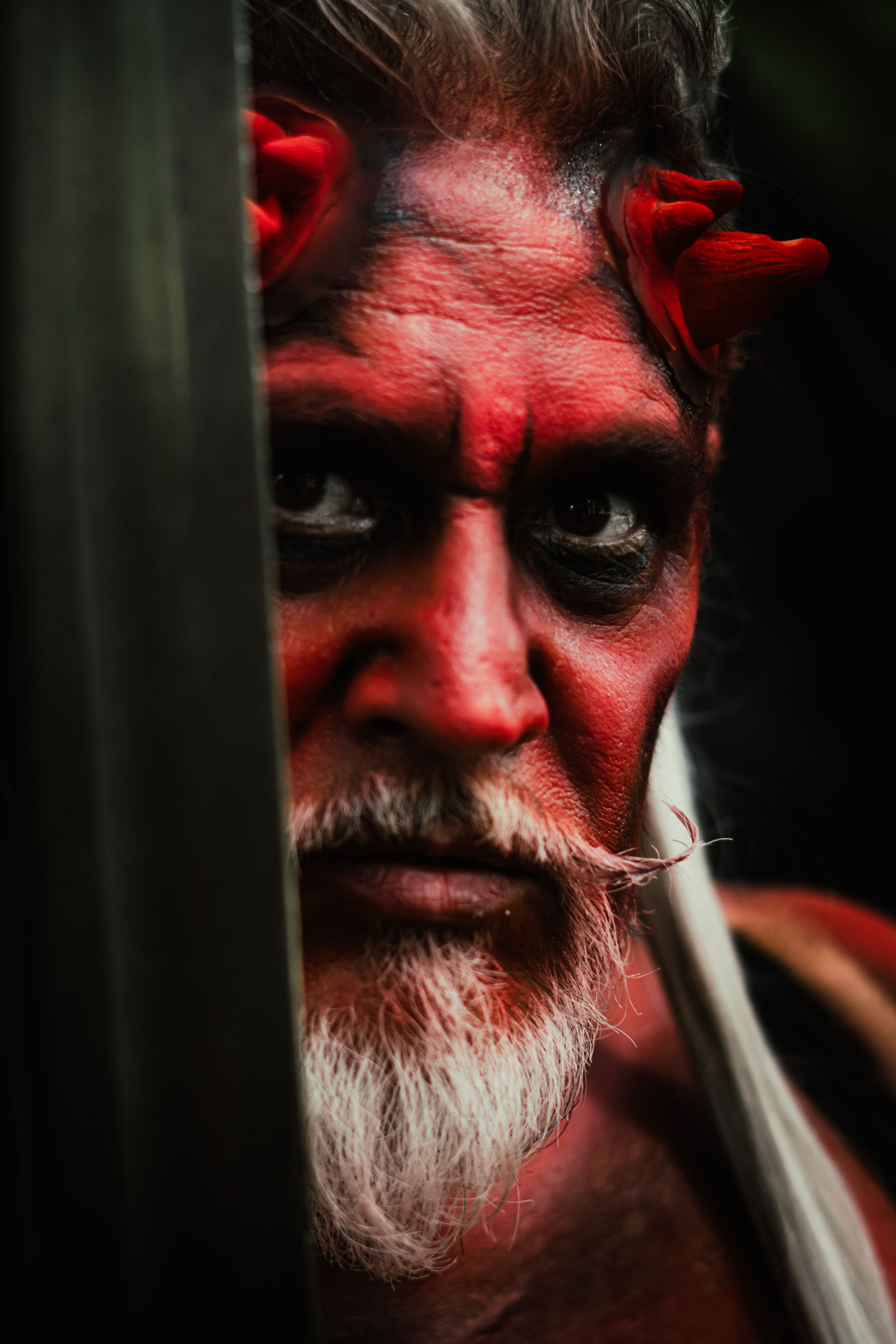 Foto de stock gratuita sobre barba, cara roja, cuernos, de cerca ...