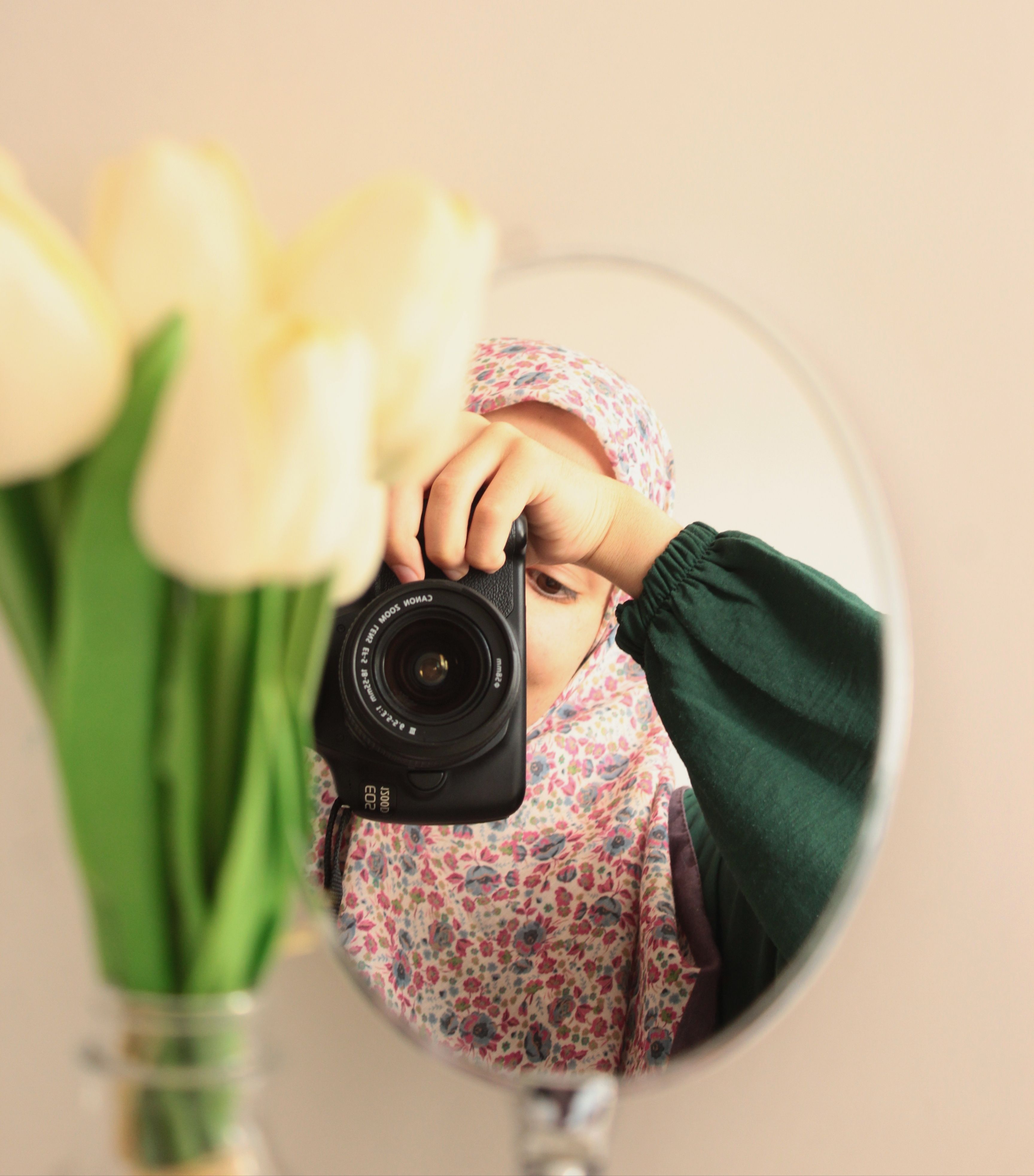 Cursed Reflection Photos, Download The BEST Free Cursed Reflection ...