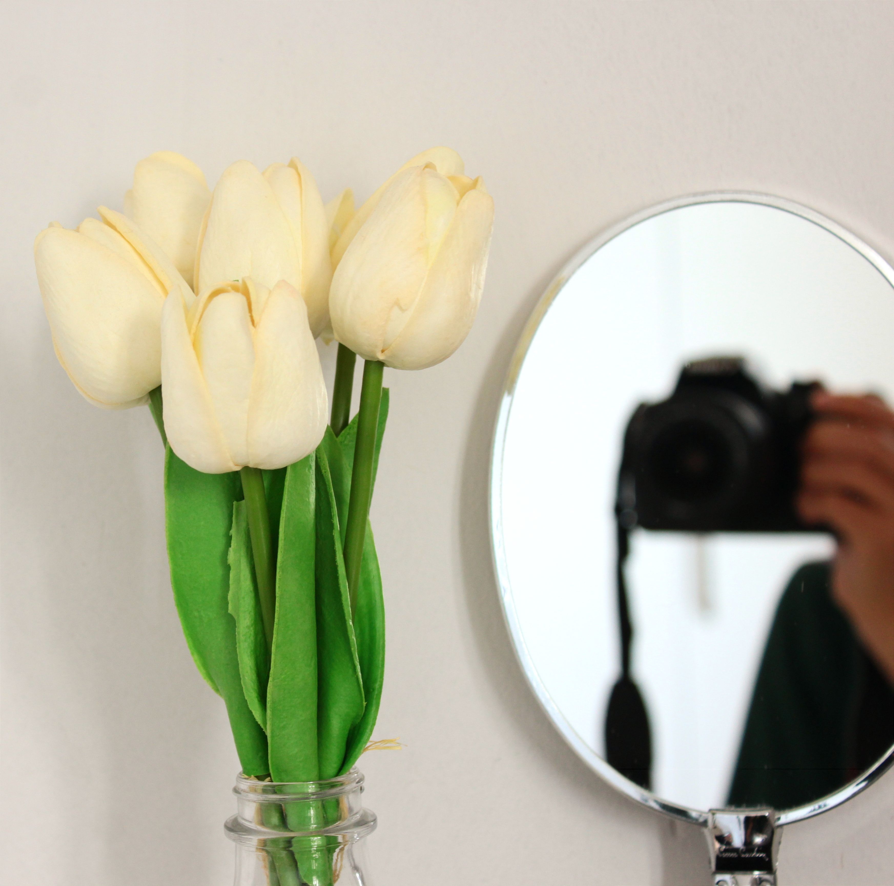 Cursed Reflection Photos, Download The BEST Free Cursed Reflection ...