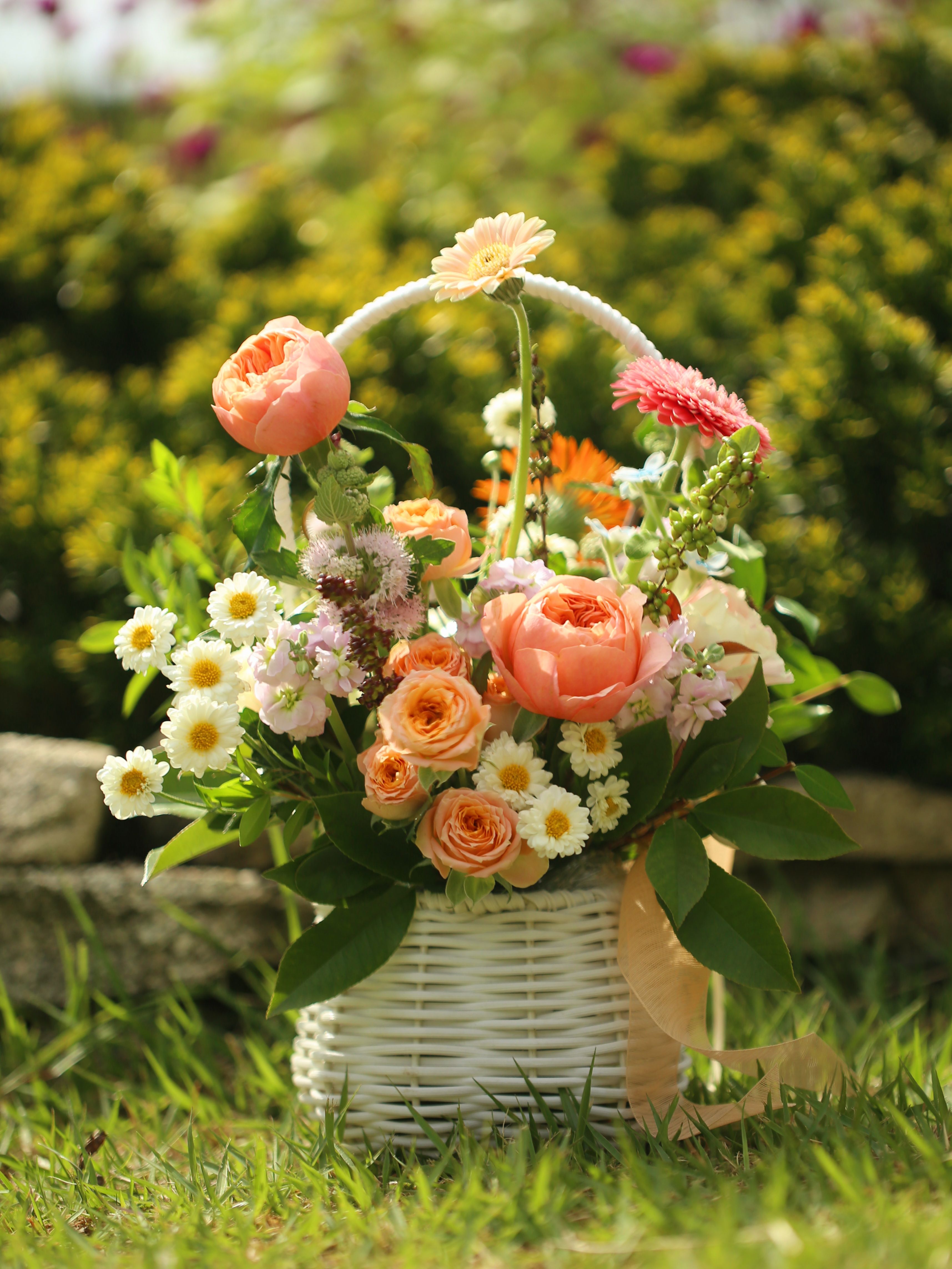 Flowers in Basket · Free Stock Photo
