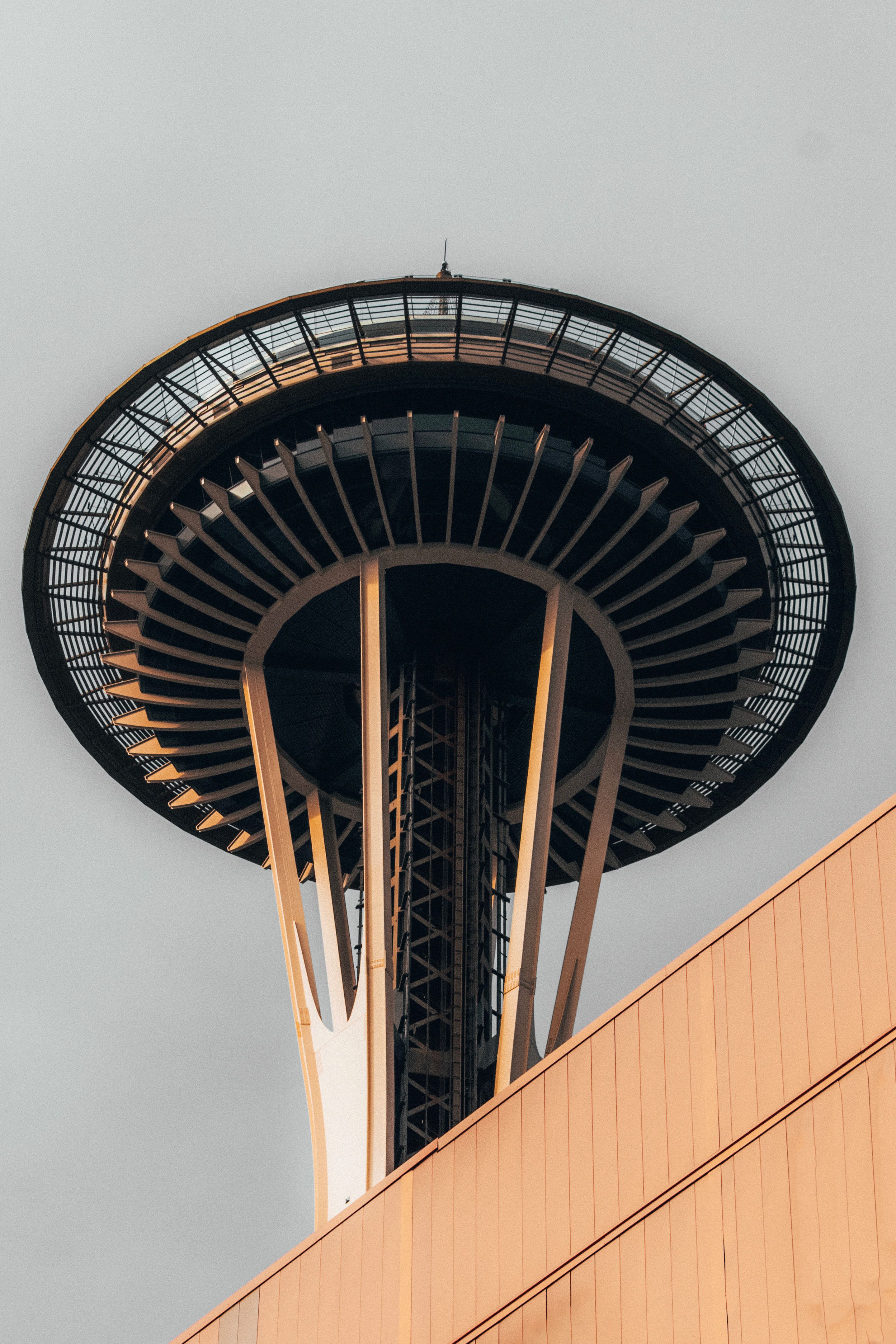 Cityscape Photo of The Space Needle Observation Tower in Seattle ...