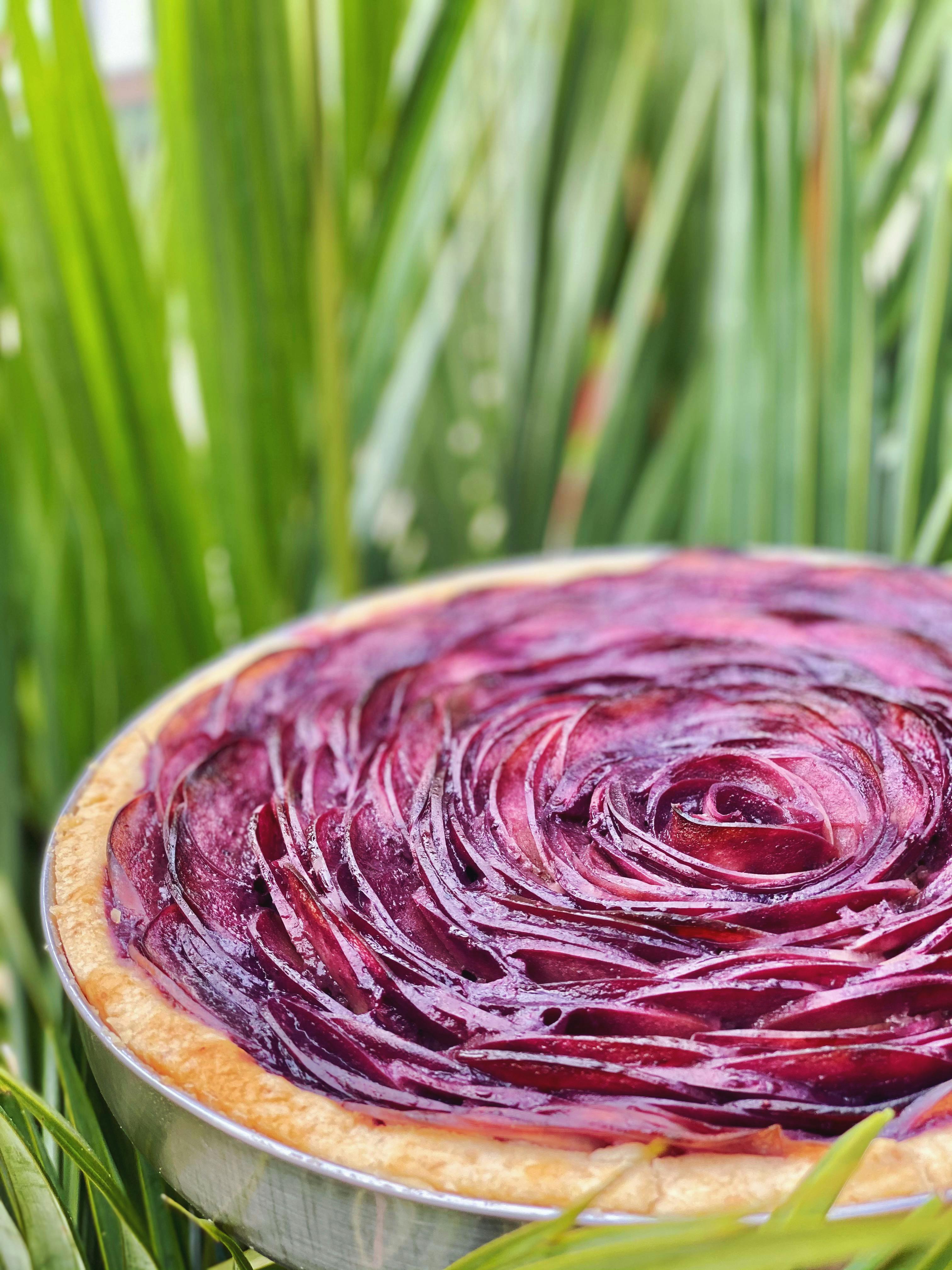 Catherine Sheila - Photography