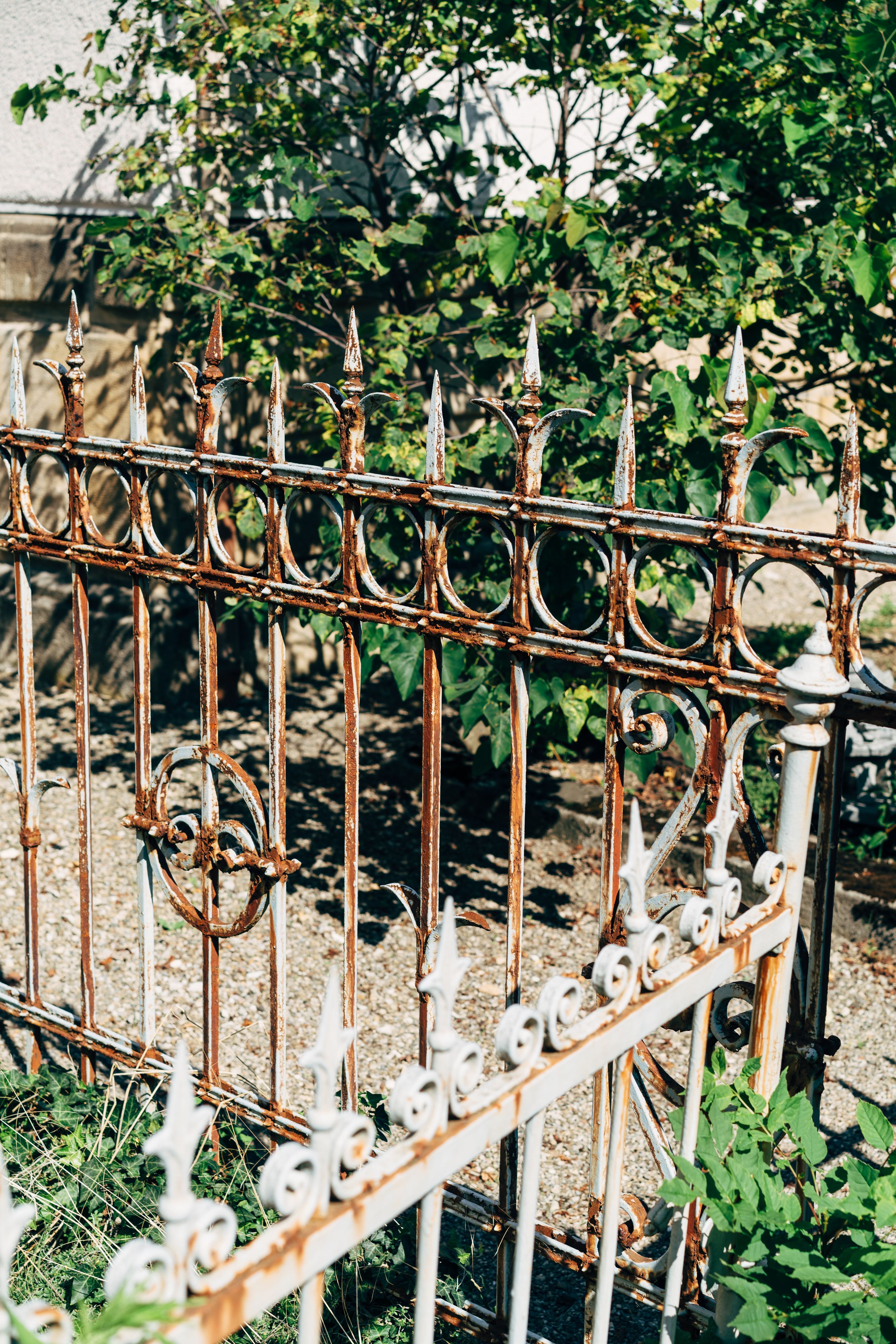 A wrought iron fence with ornate designs · Free Stock Photo