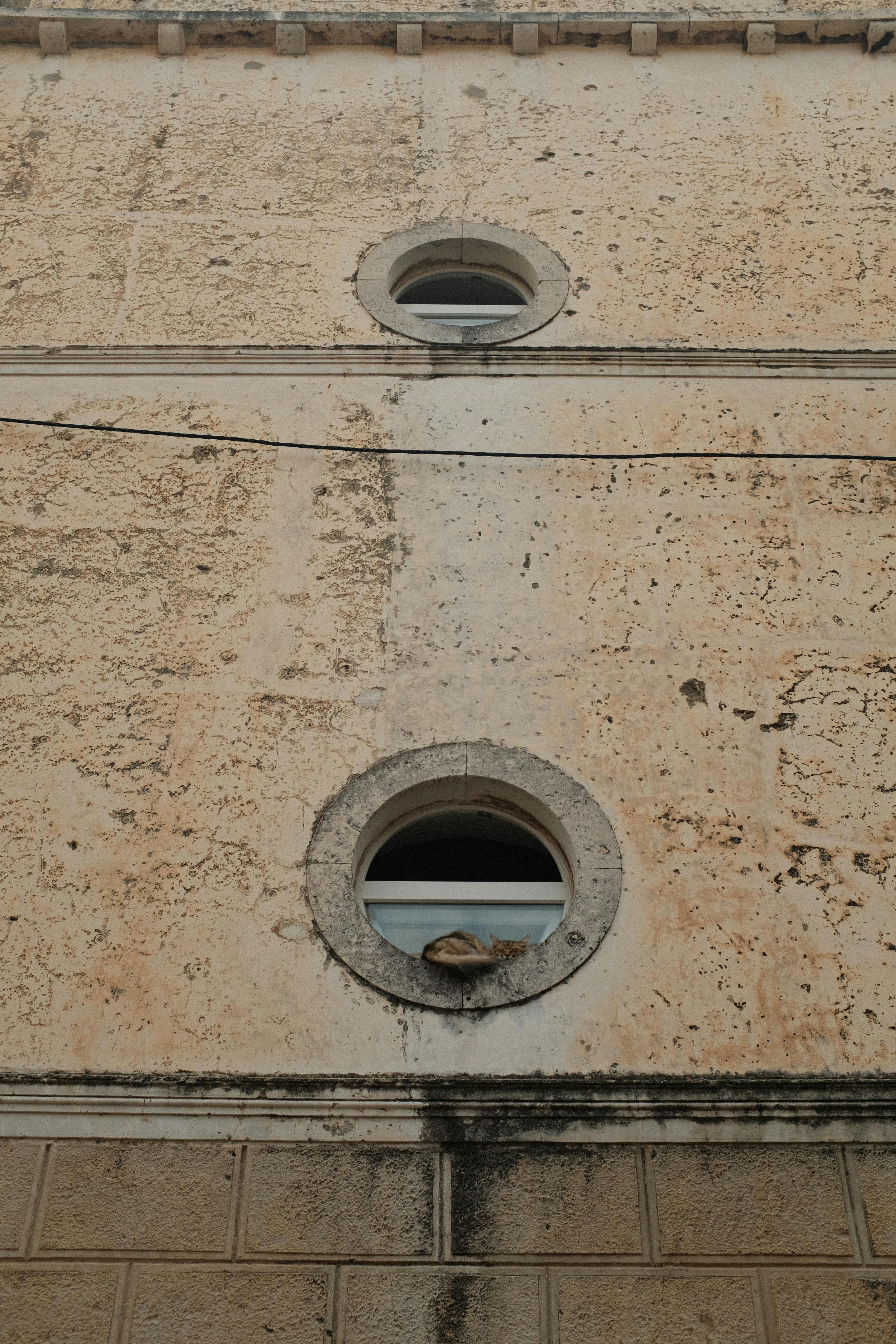 Ginger Cat Lying on a Round Window Sill · Free Stock Photo