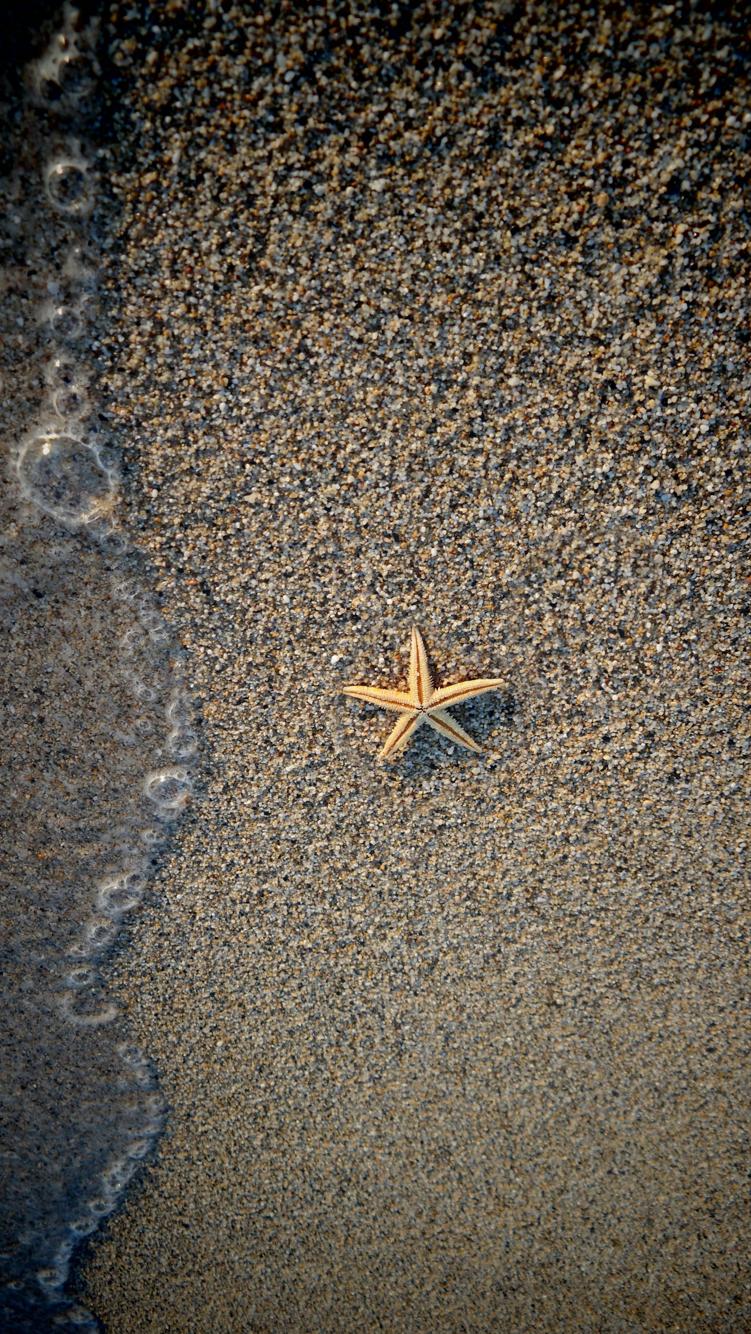 Sine Wave Photos, Download The BEST Free Sine Wave Stock Photos & HD Images