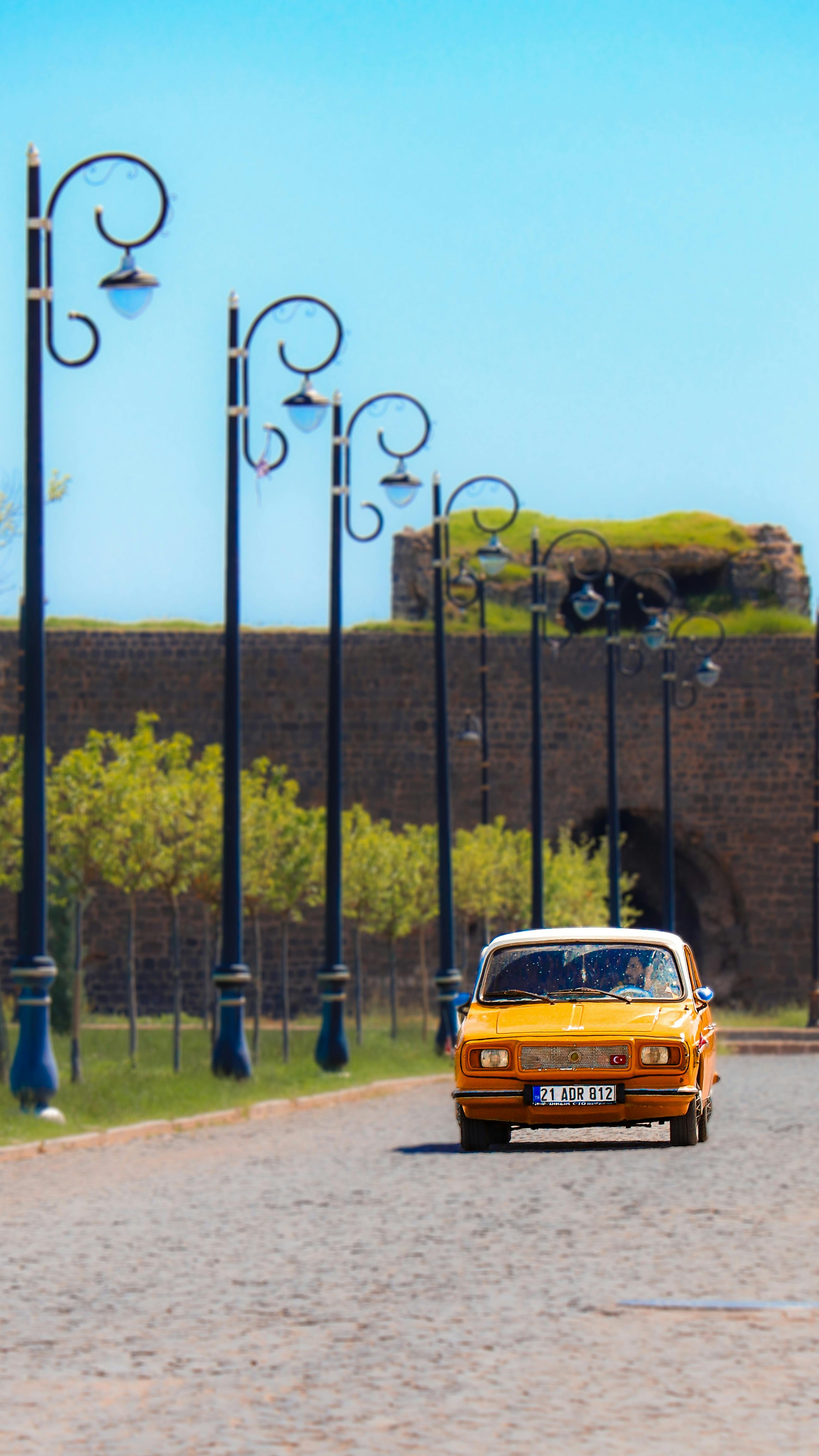 Cars on Road through Forest · Free Stock Photo
