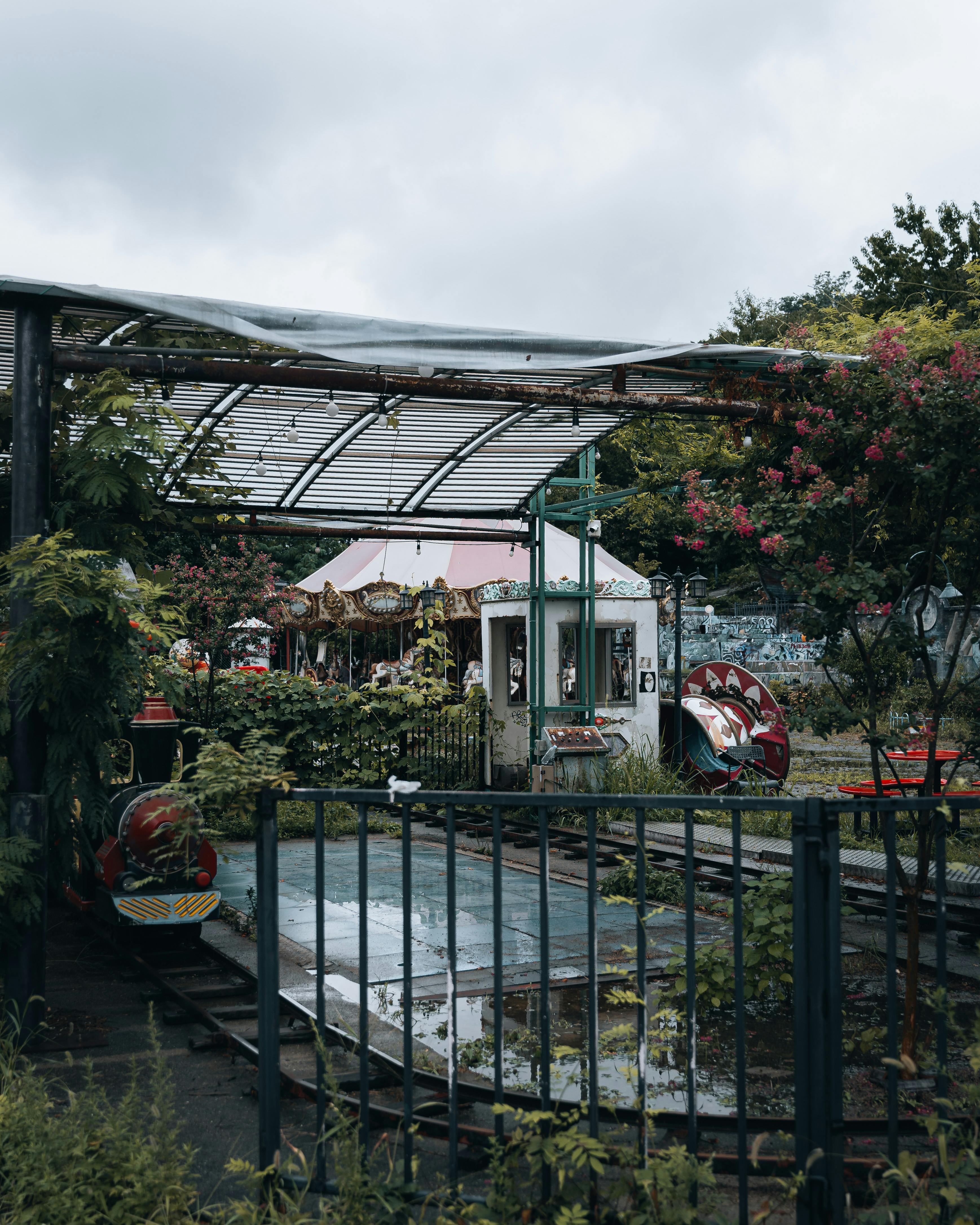 Train Ride in Theme Park · Free Stock Photo