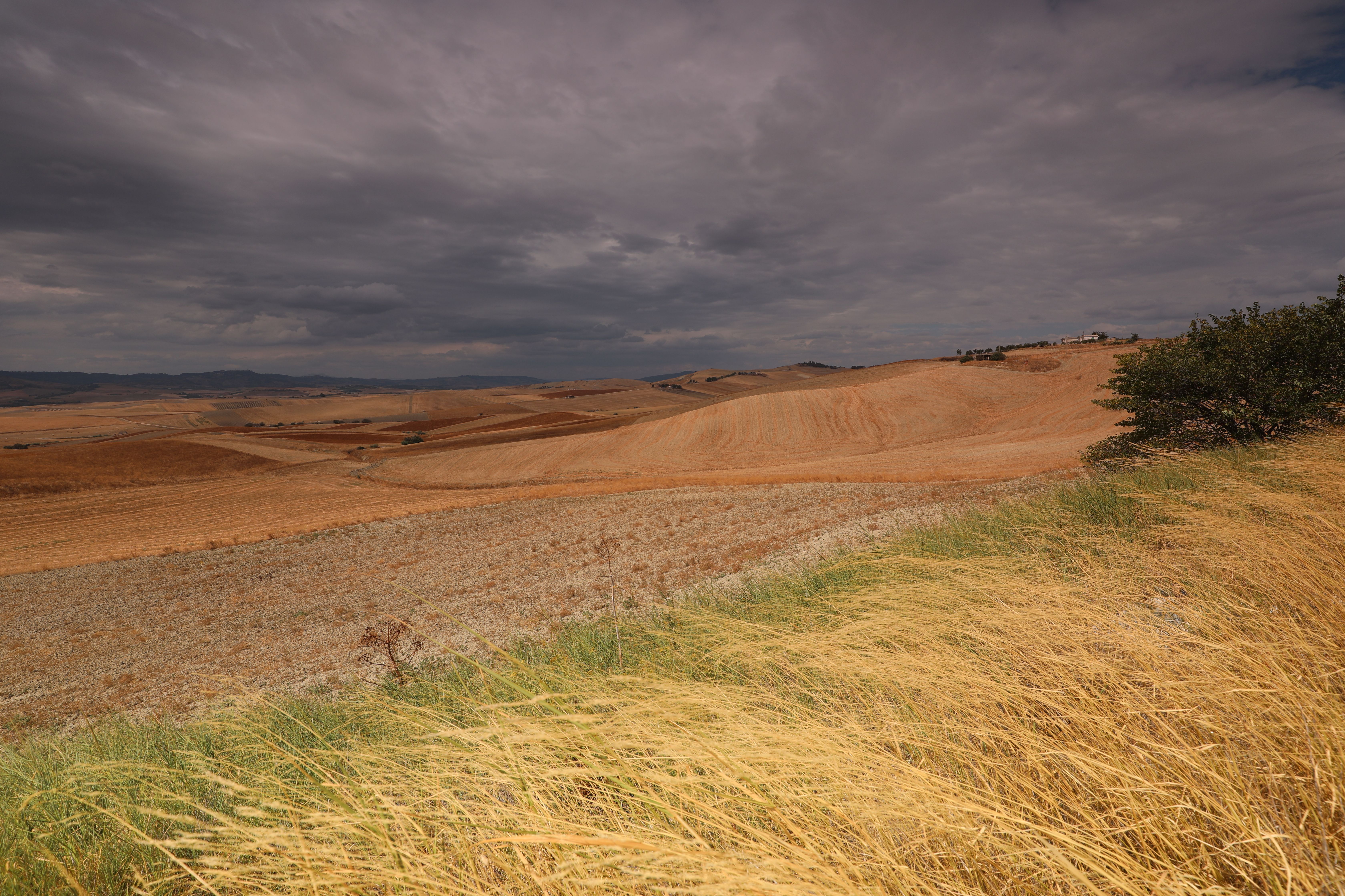 Rural Fields under a Storm Cloud · Free Stock Photo