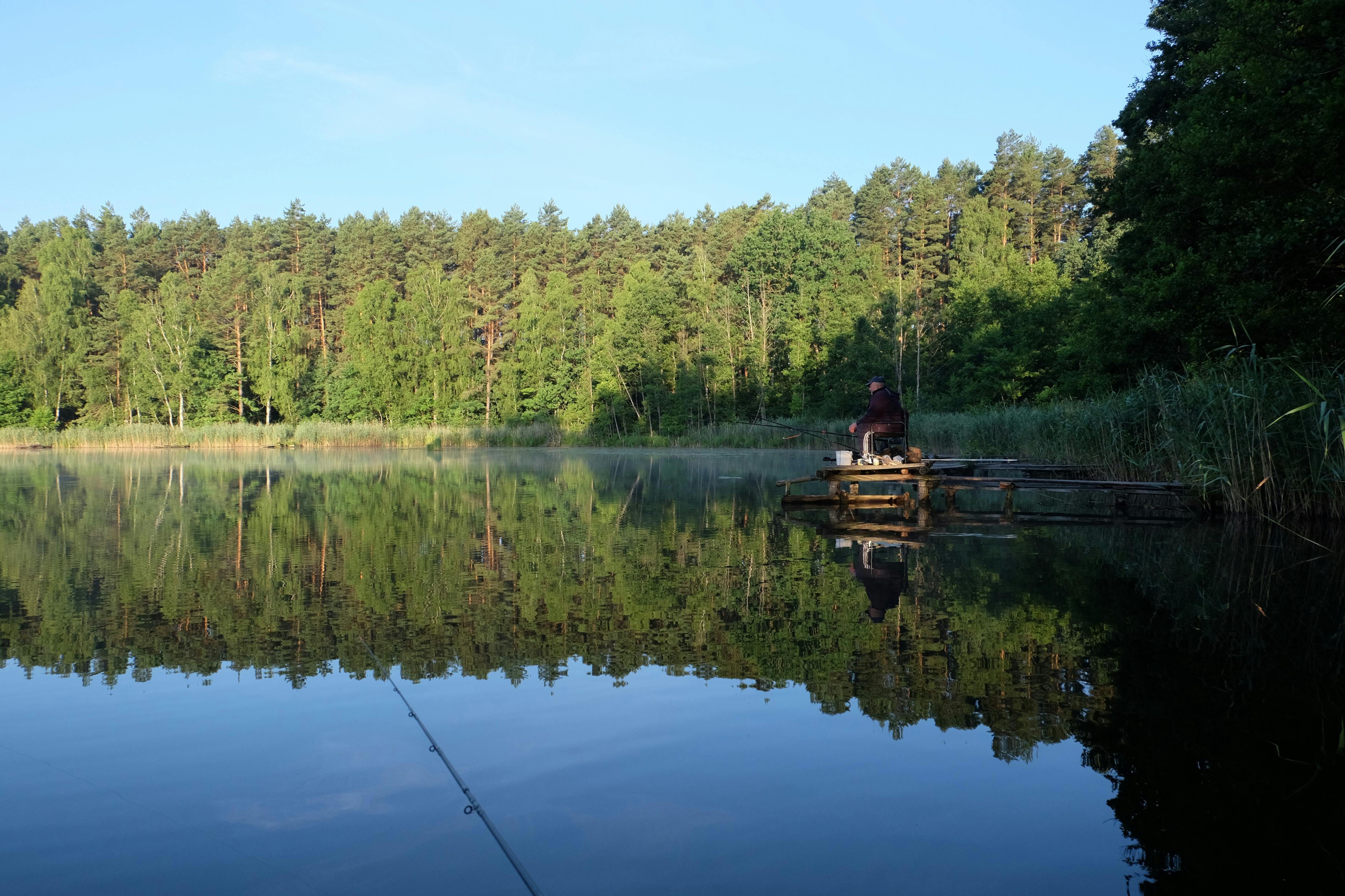 Forest Fishing Photos, Download The BEST Free Forest Fishing Stock ...