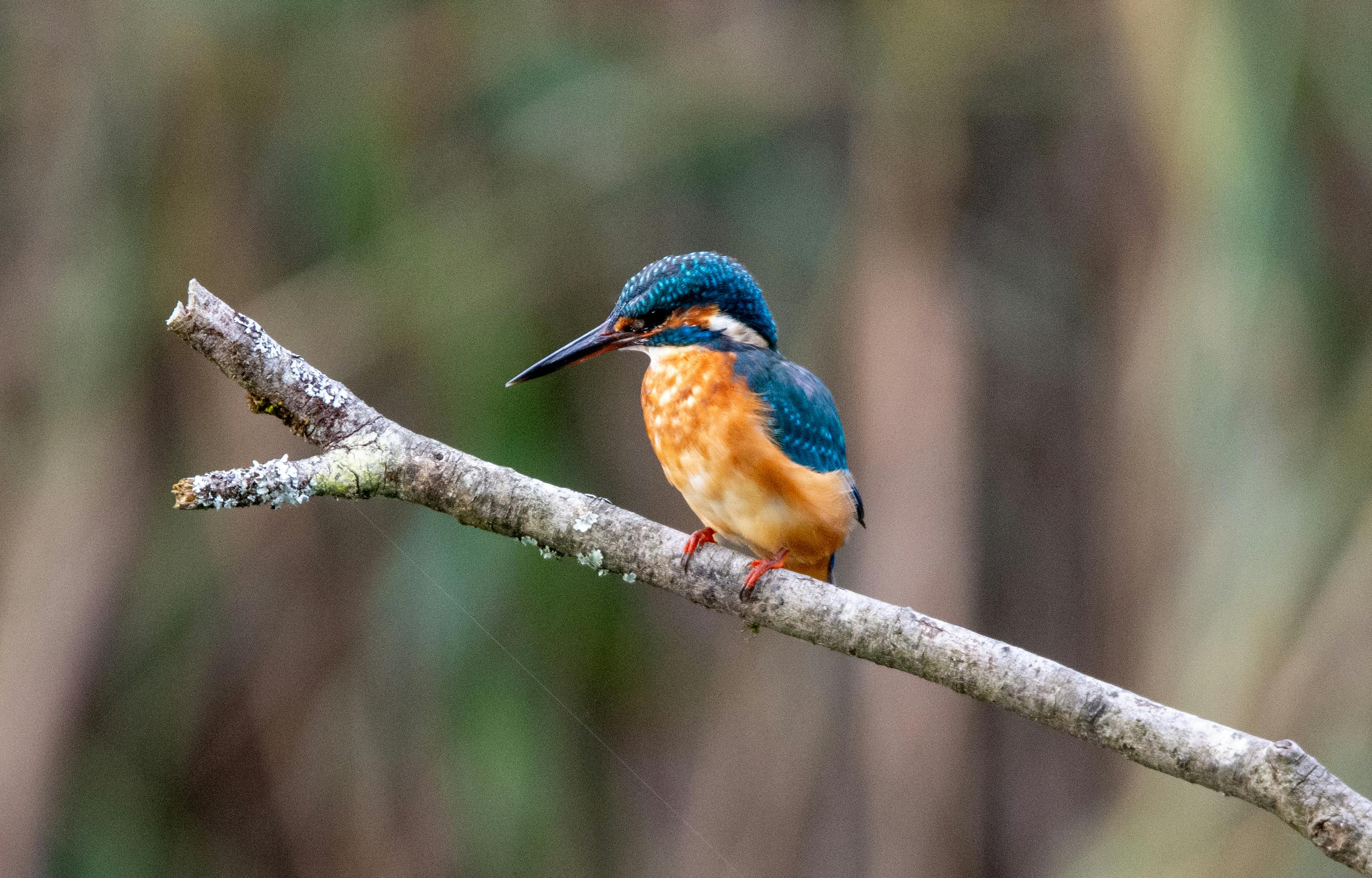 Tim Morgan – Fotografie