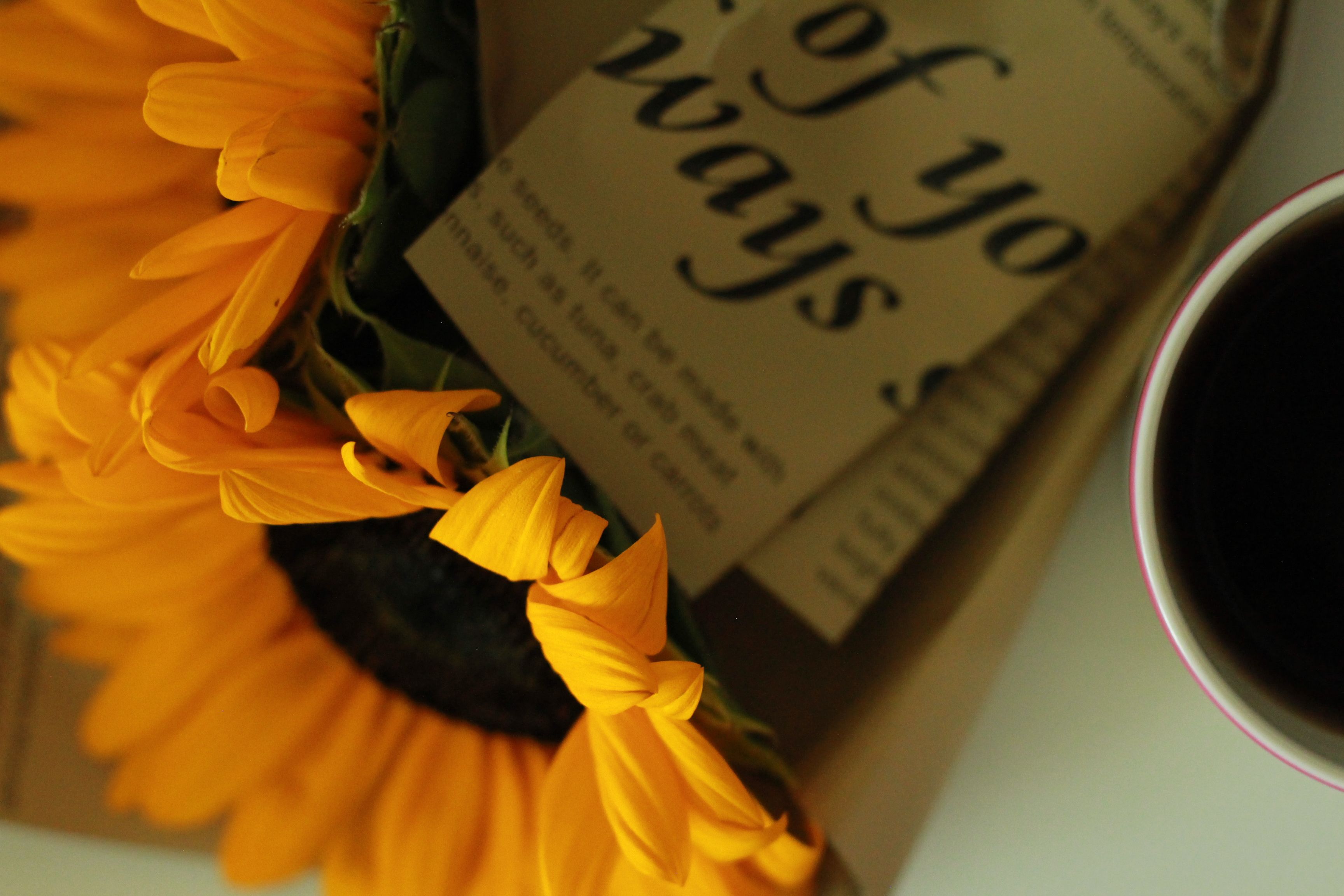 Close-up of a Coffee and Bunch of Sunflowers · Free Stock Photo