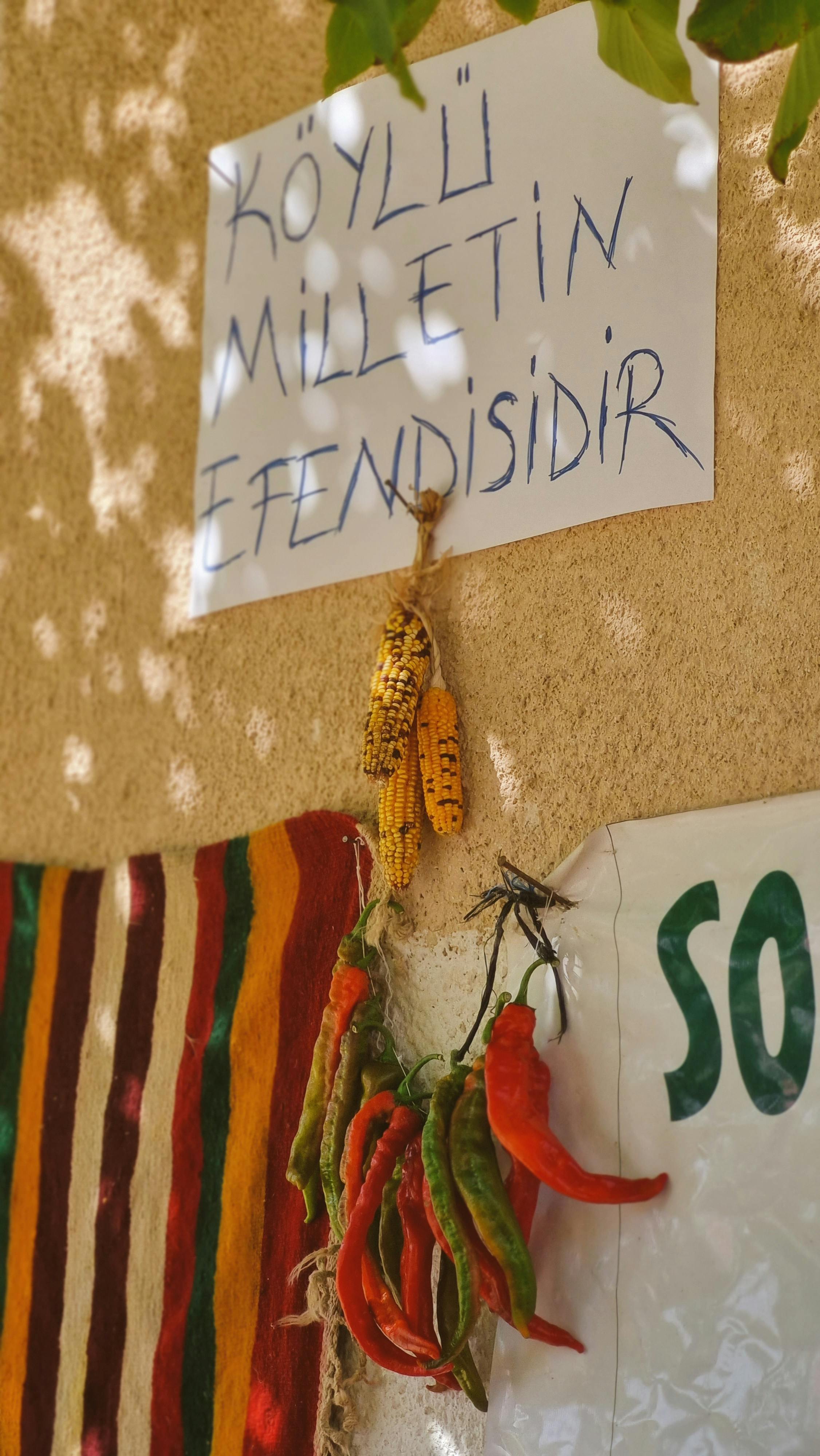 Maroon Paper Photos, Download The BEST Free Maroon Paper Stock Photos ...