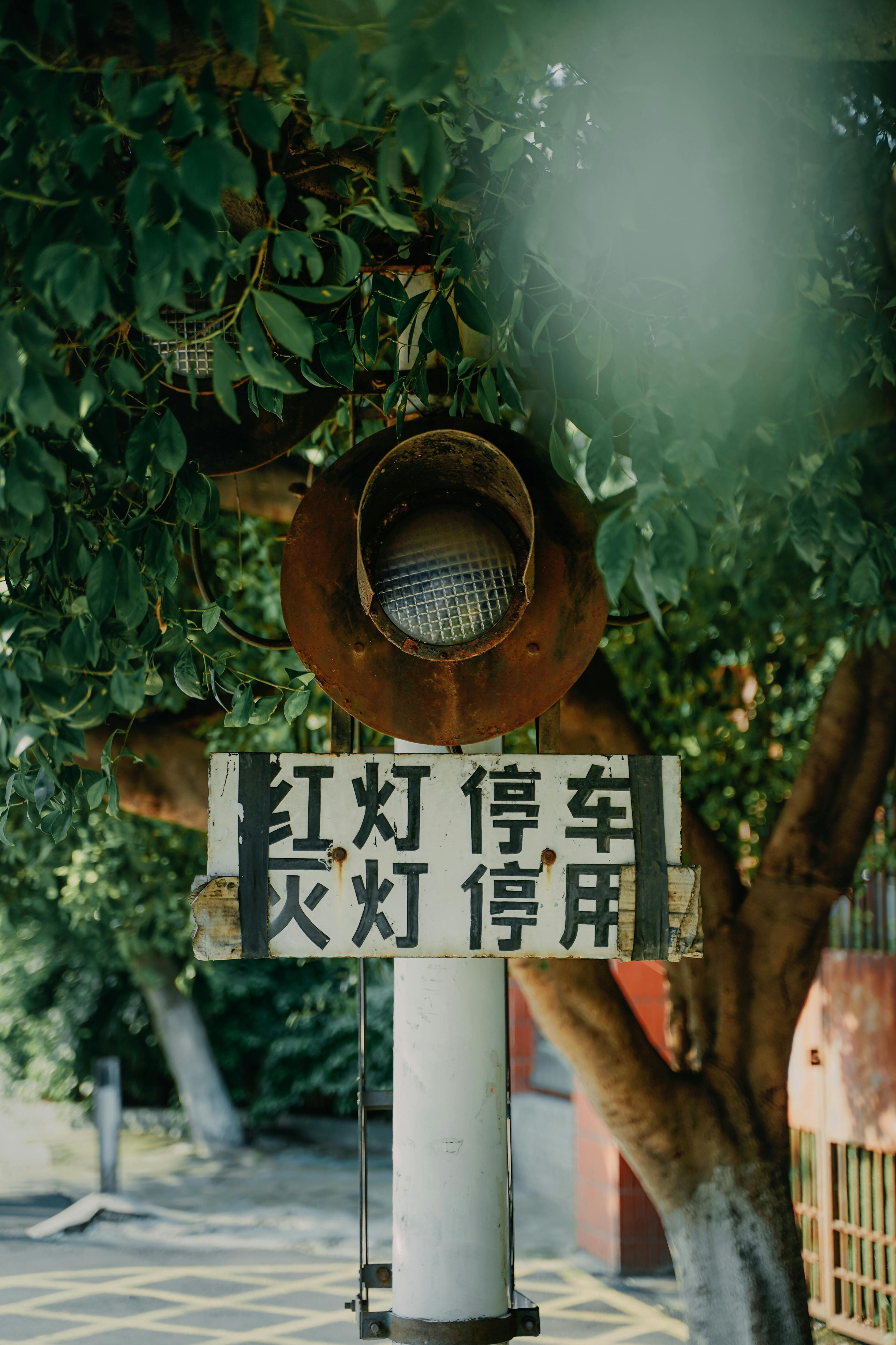 Old Rusty Traffic Light on a Street · Free Stock Photo