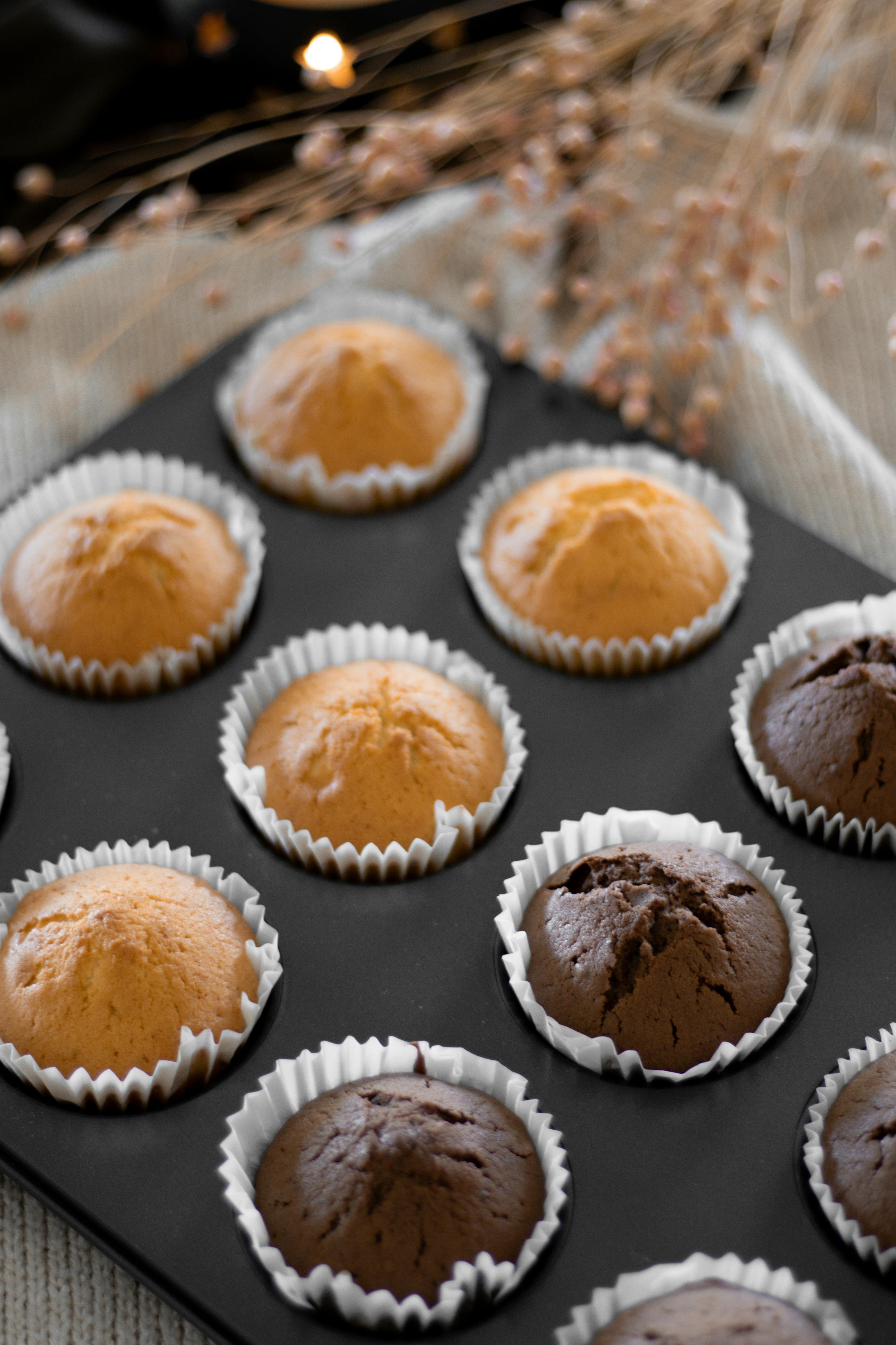 Cakes on Tray · Free Stock Photo