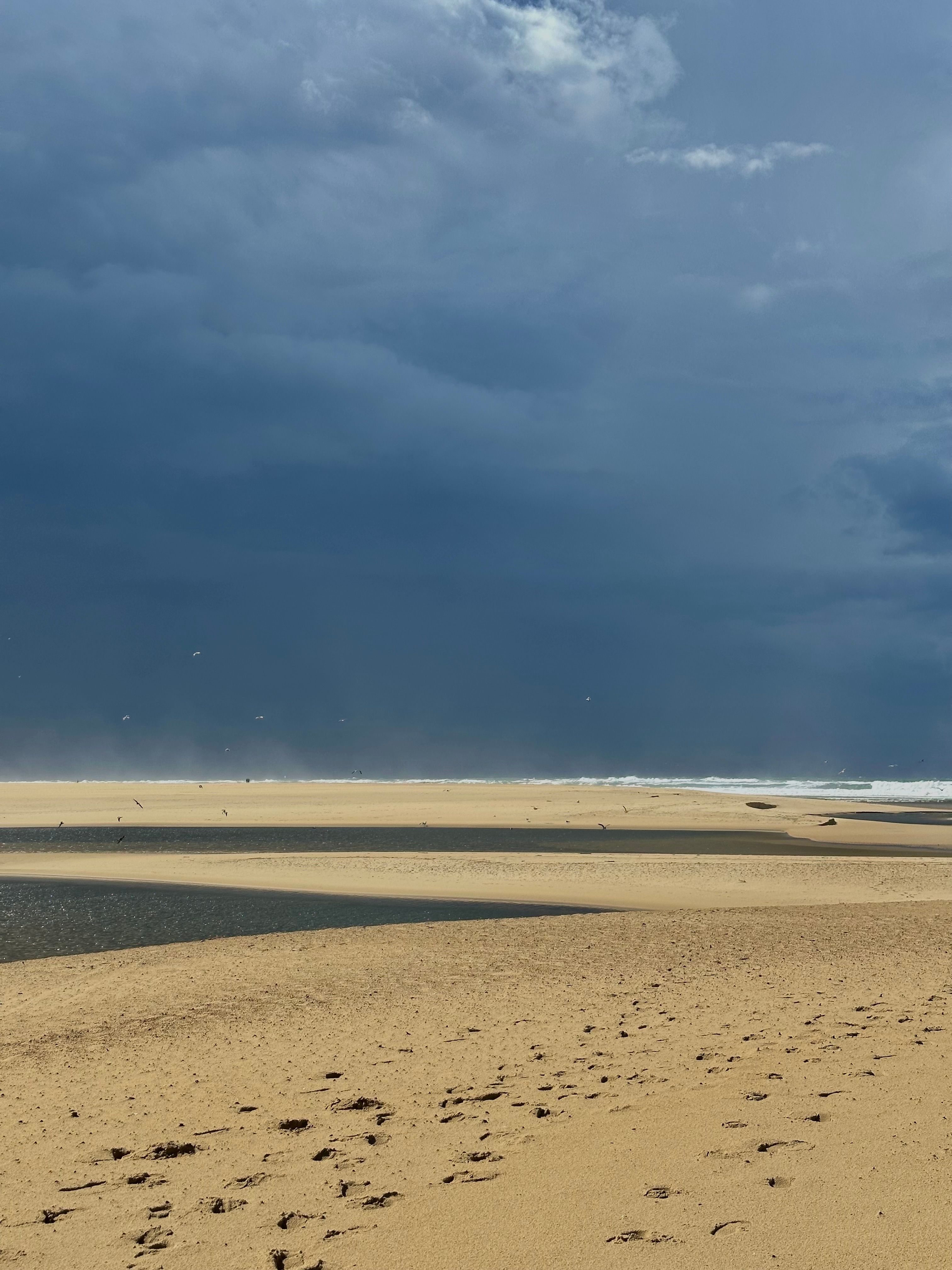 Men Posing on Beach · Free Stock Photo