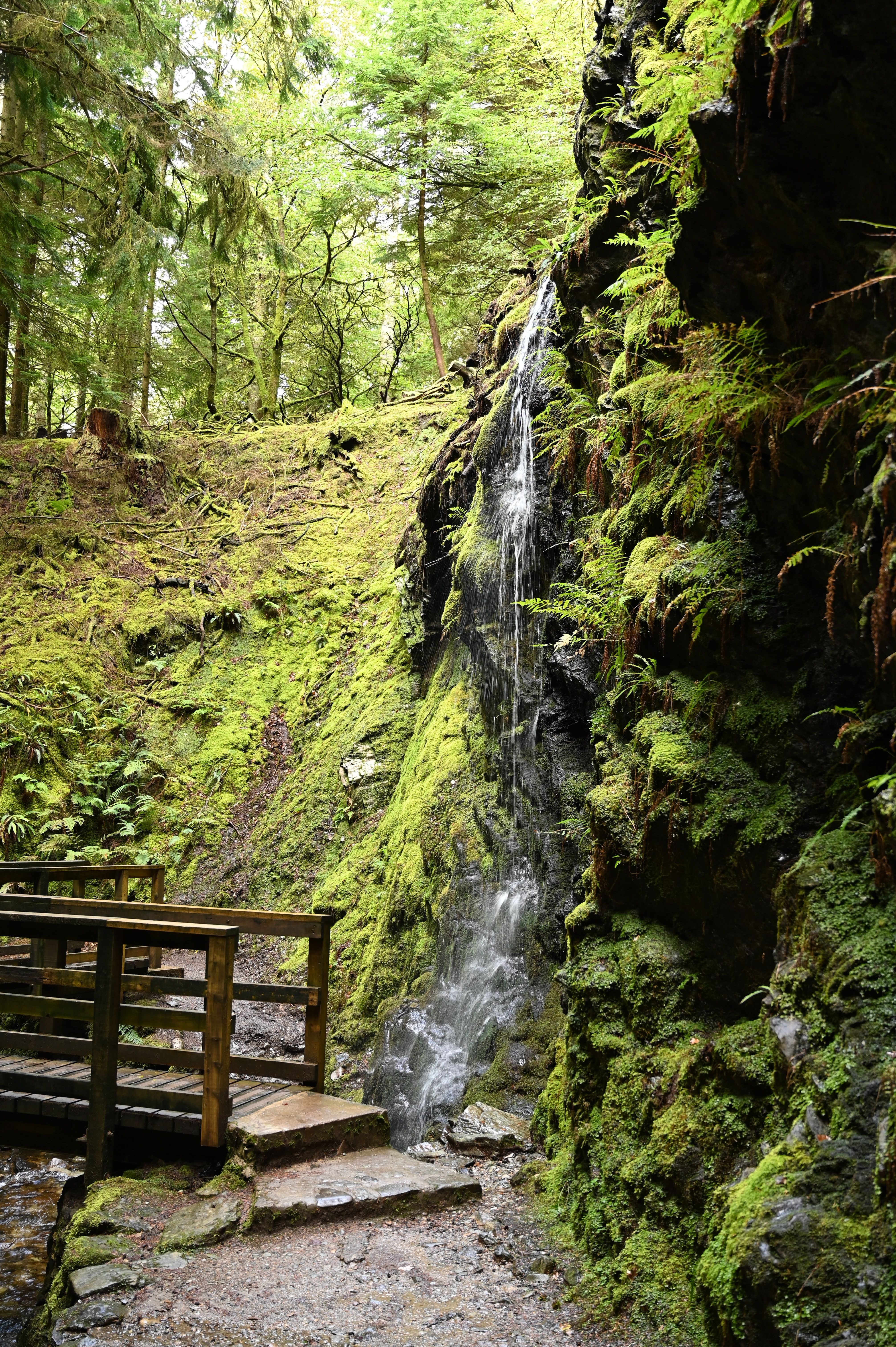 Footpath near Waterfall · Free Stock Photo