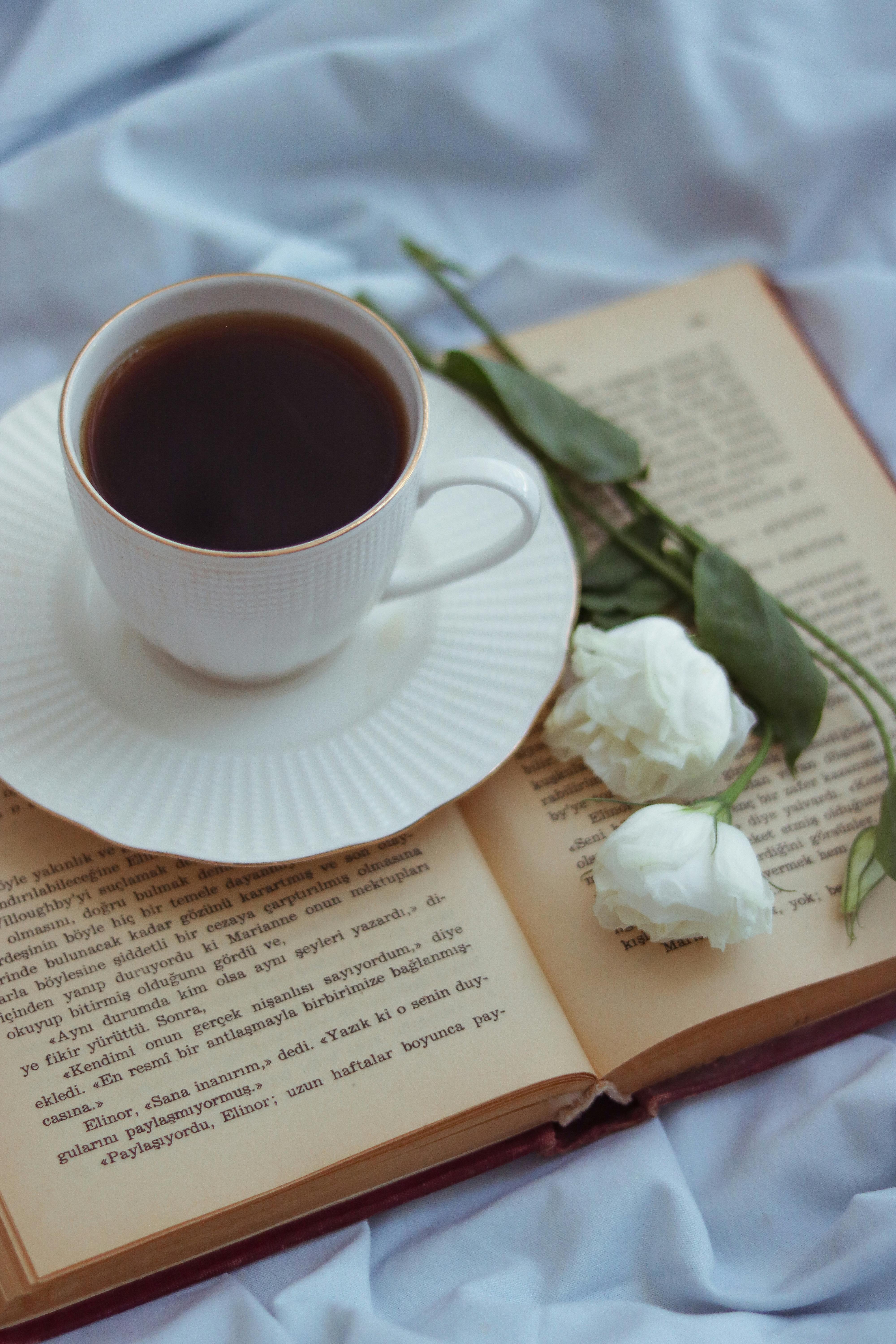 Reading Pinterest Photos, Download The BEST Free Reading Pinterest ...