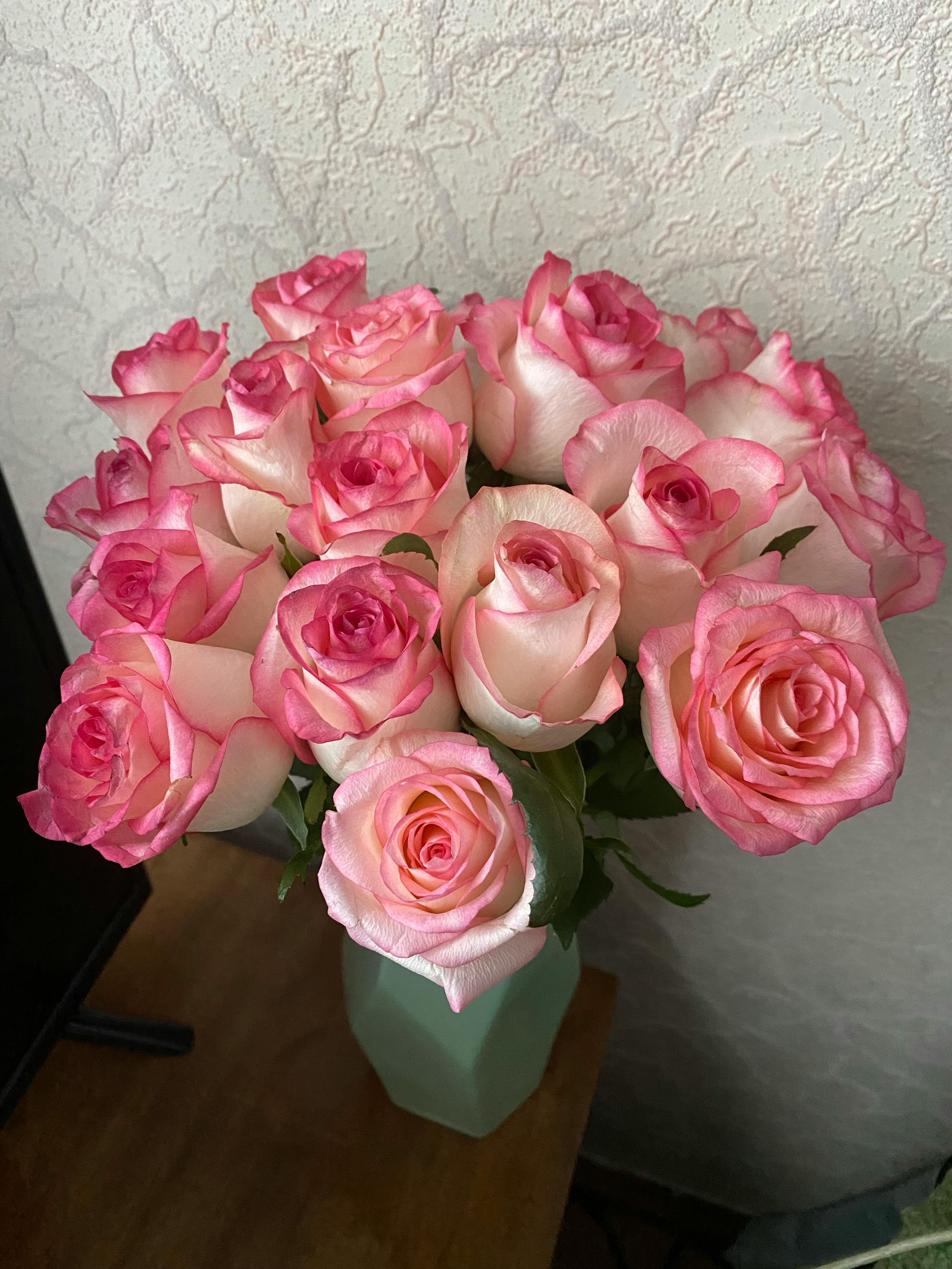 Anna Madera - Photography