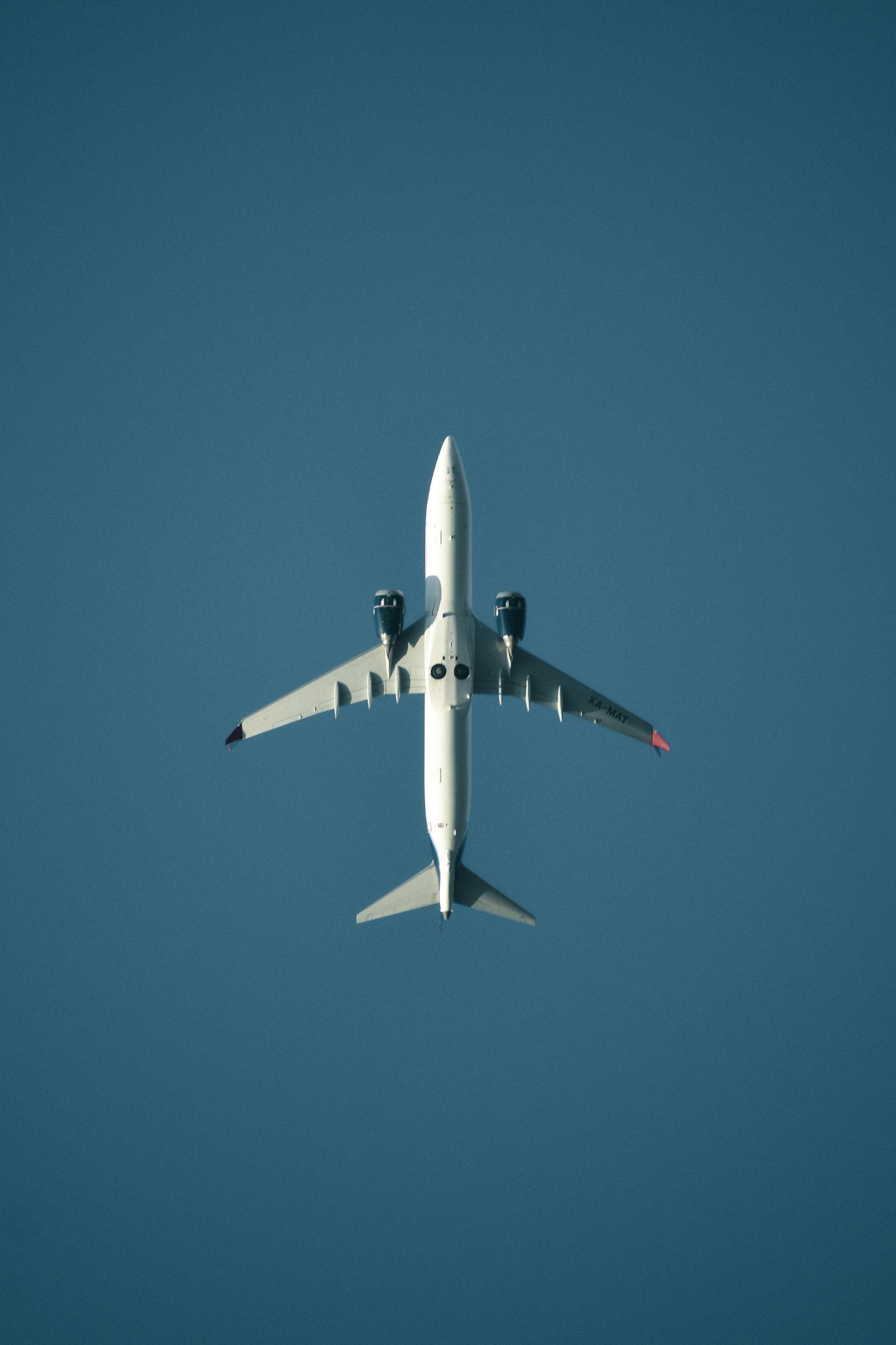Foto profissional gratuita de aeronave, air portugal, airplane, blue ...