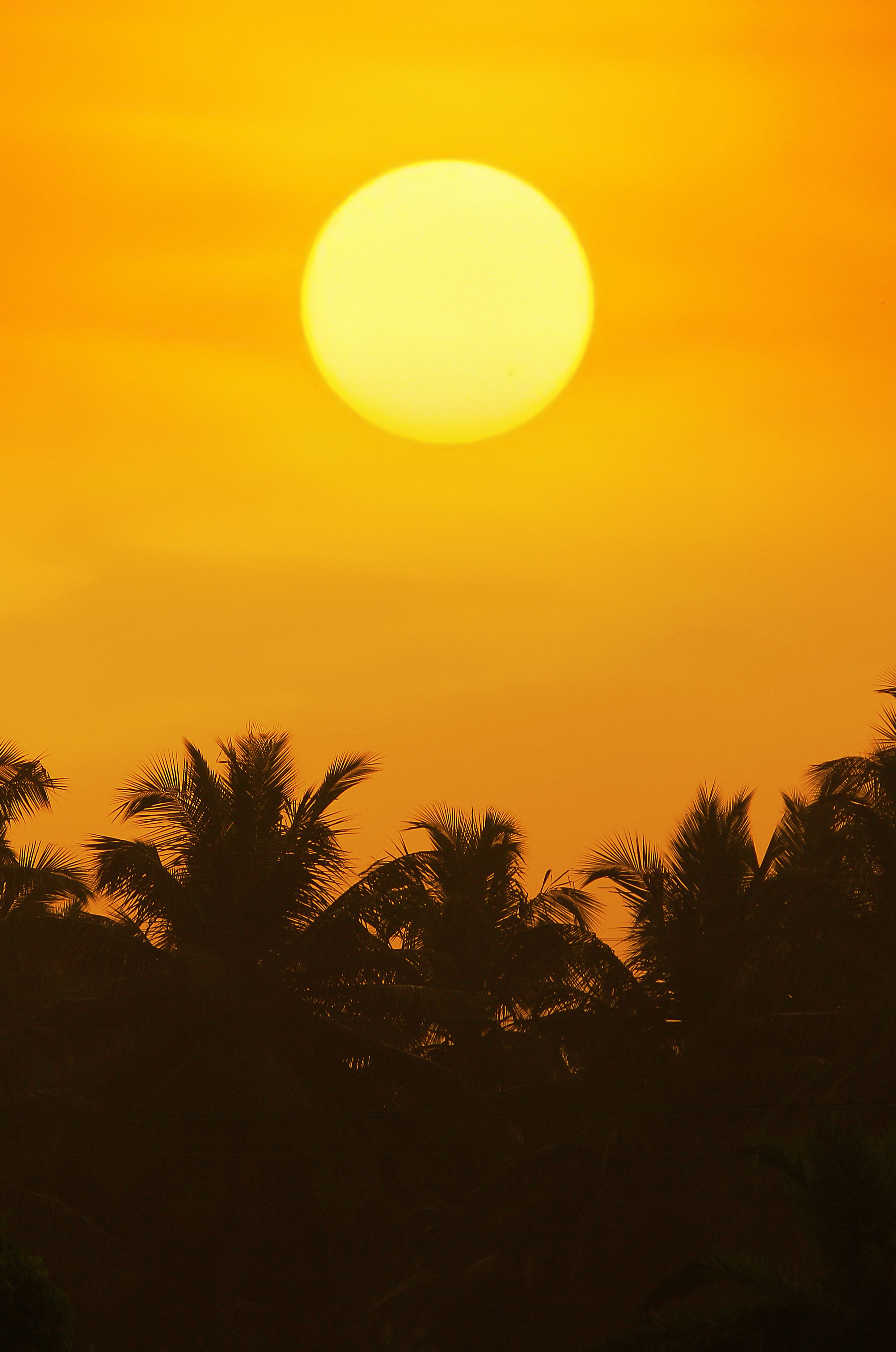 Sun Mlbb Photos, Download The BEST Free Sun Mlbb Stock Photos & HD Images