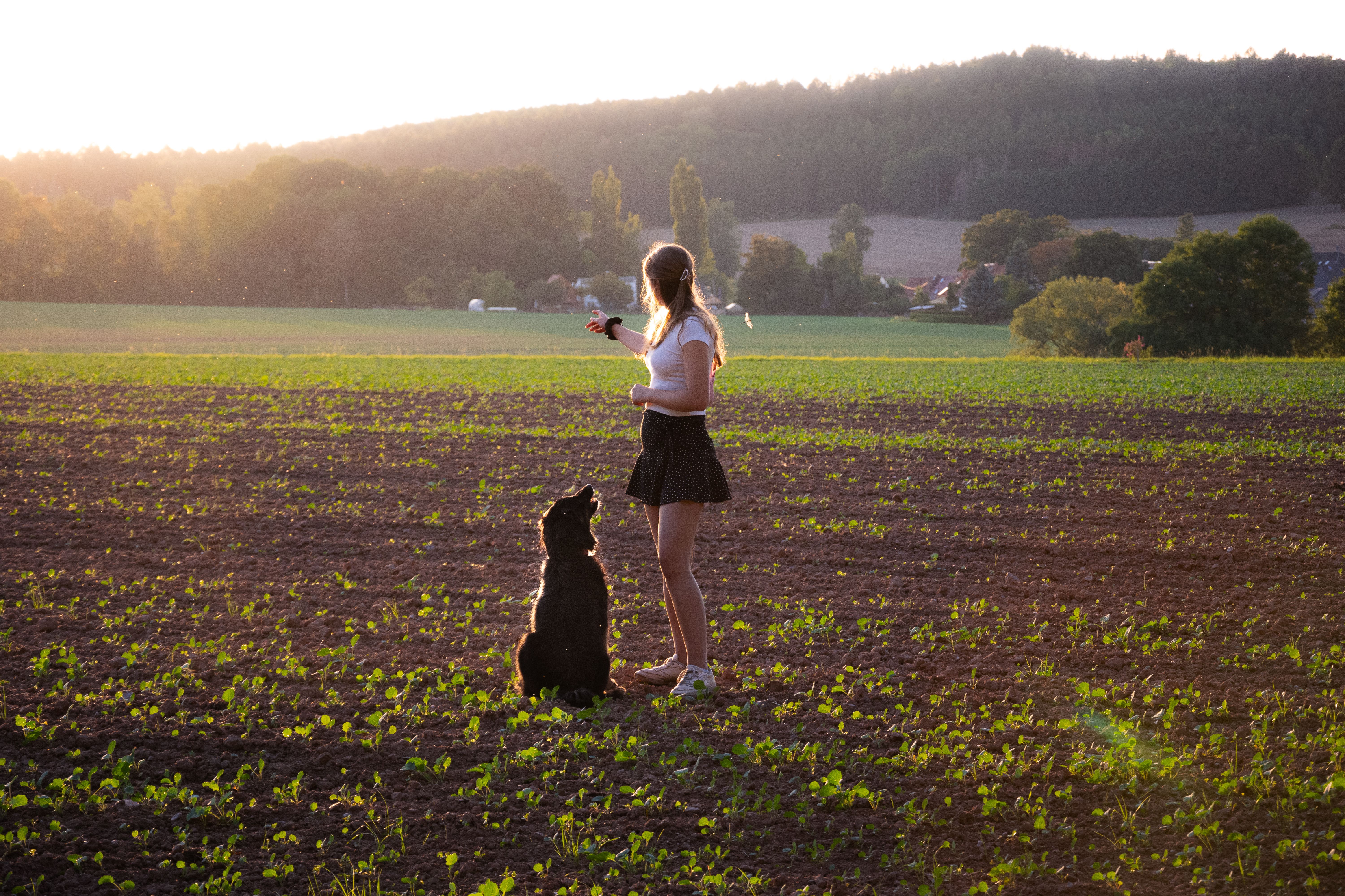 Woman in Skirt Standing with Dog on Field · Free Stock Photo