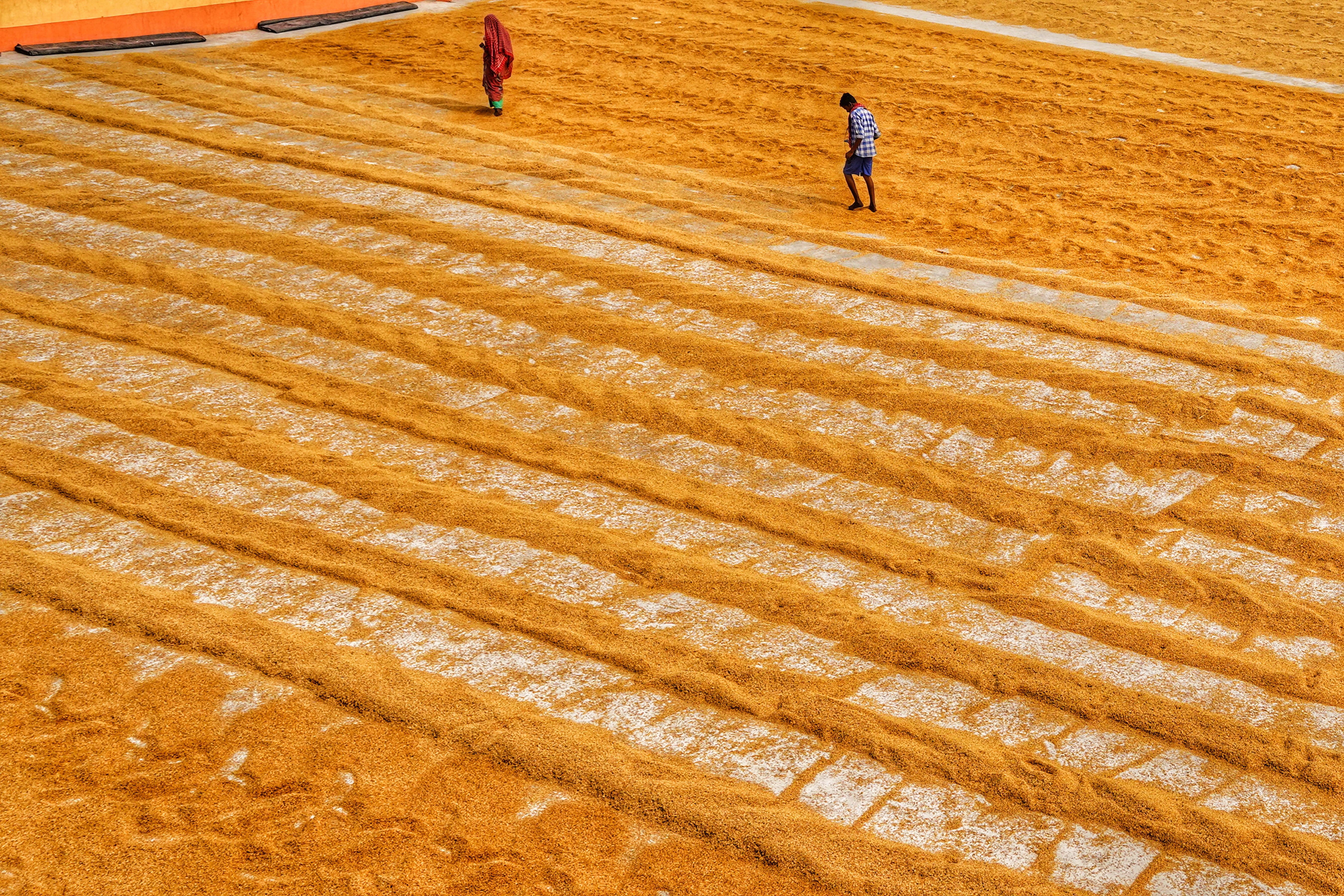 Rural life 2. · Free Stock Photo
