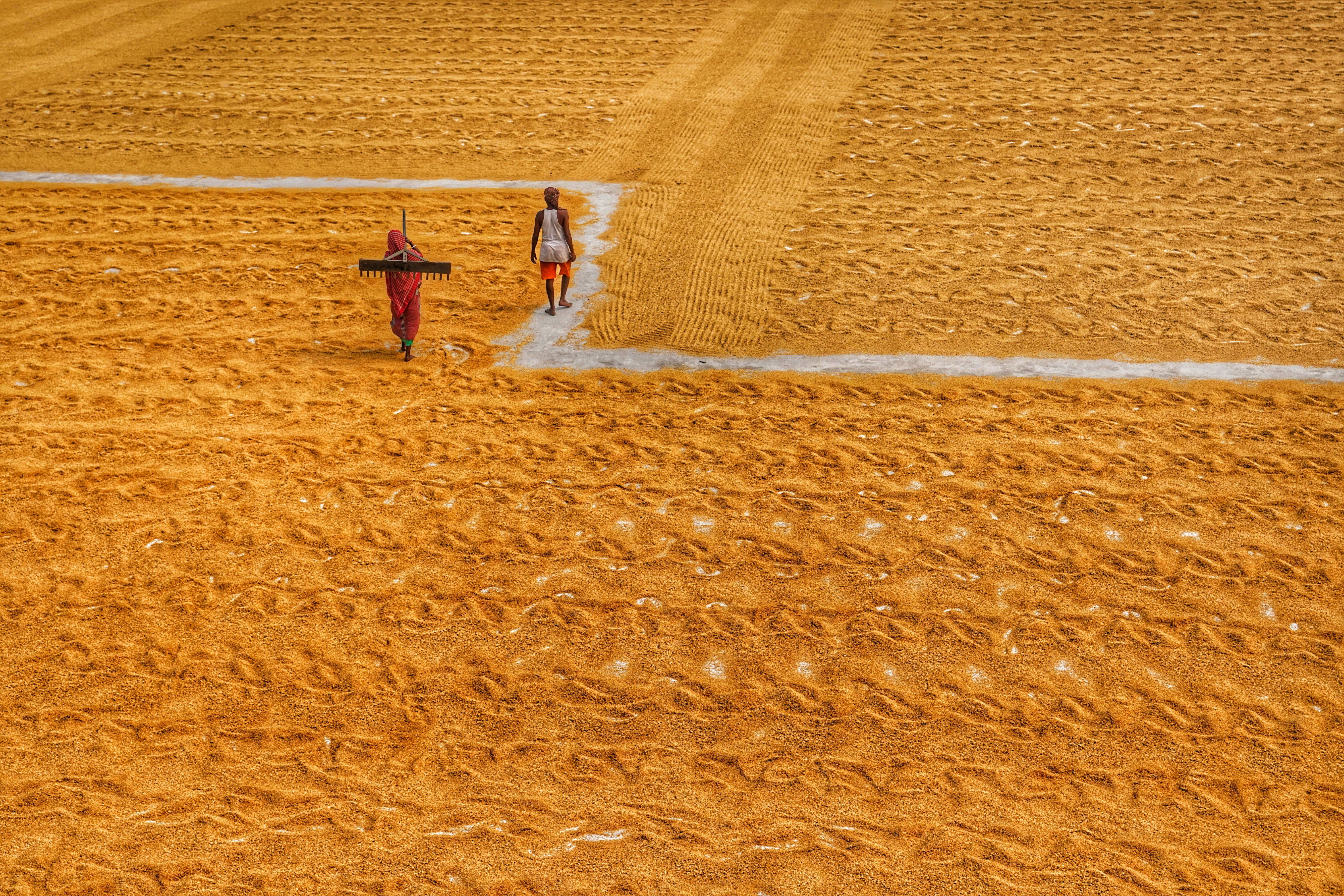 Rural life 8. · Free Stock Photo