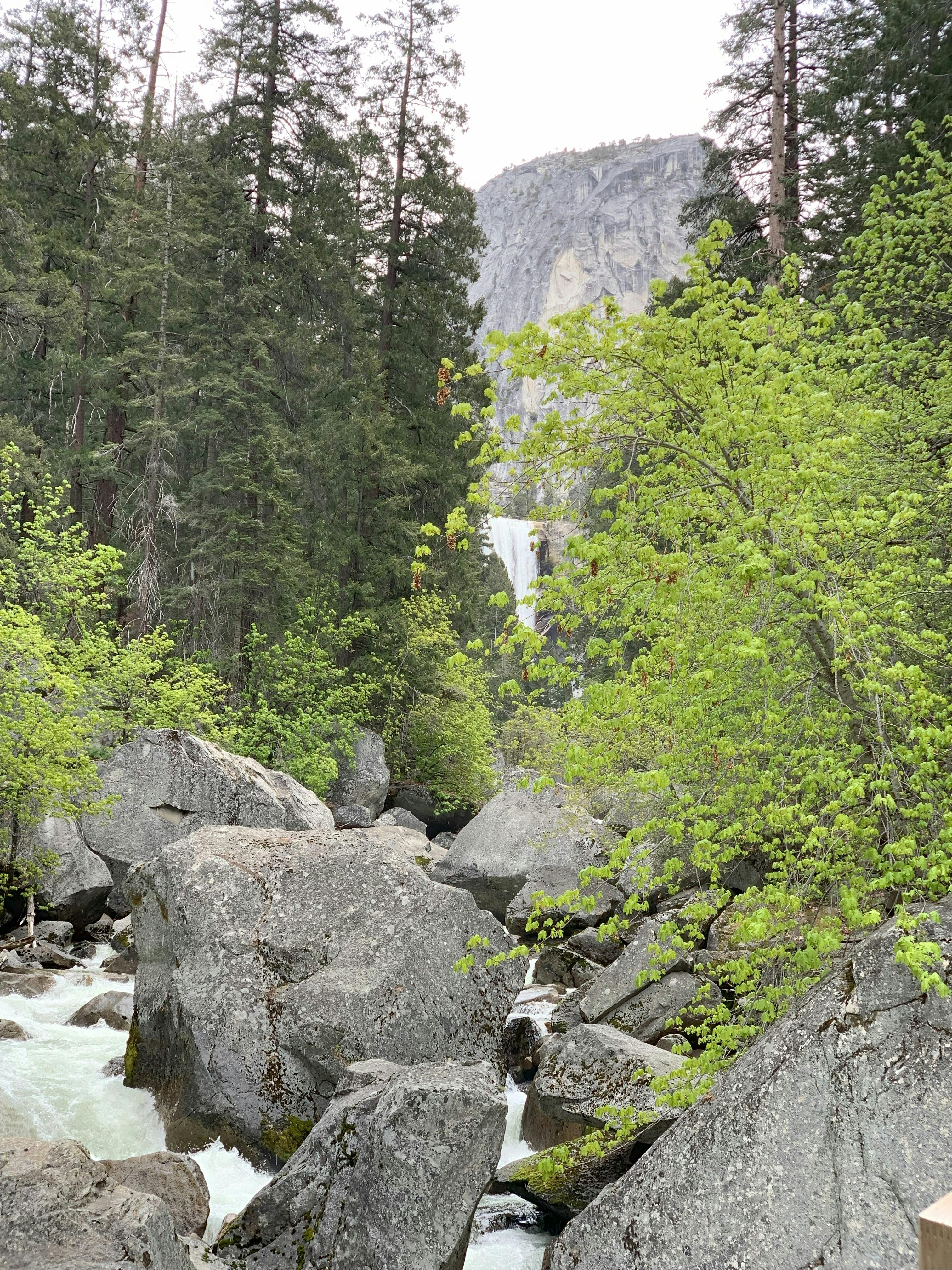 Rocks on Stream in Forest · Free Stock Photo