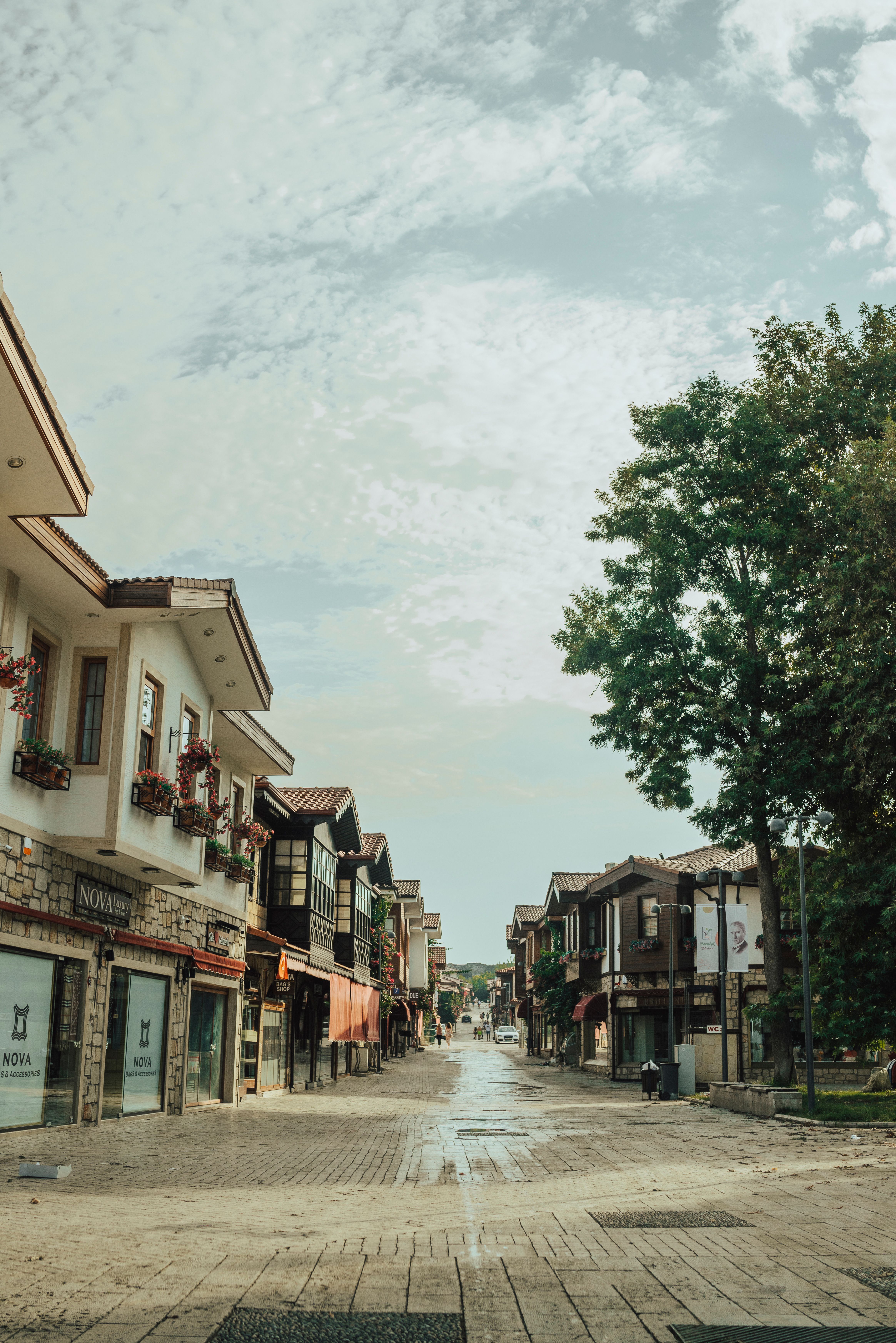 Paved Street in a Residential District of a City · Free Stock Photo
