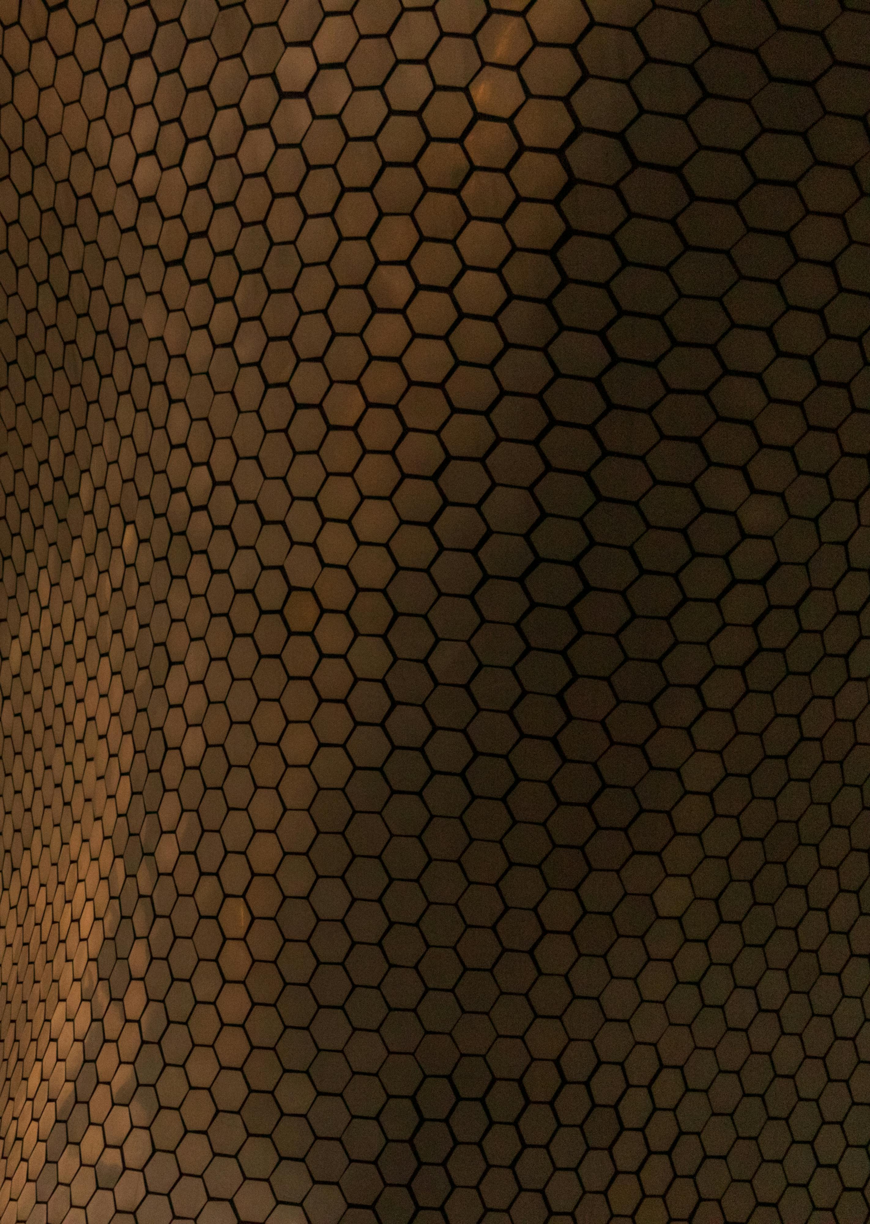 Litchi Pattern Photos, Download The BEST Free Litchi Pattern Stock ...