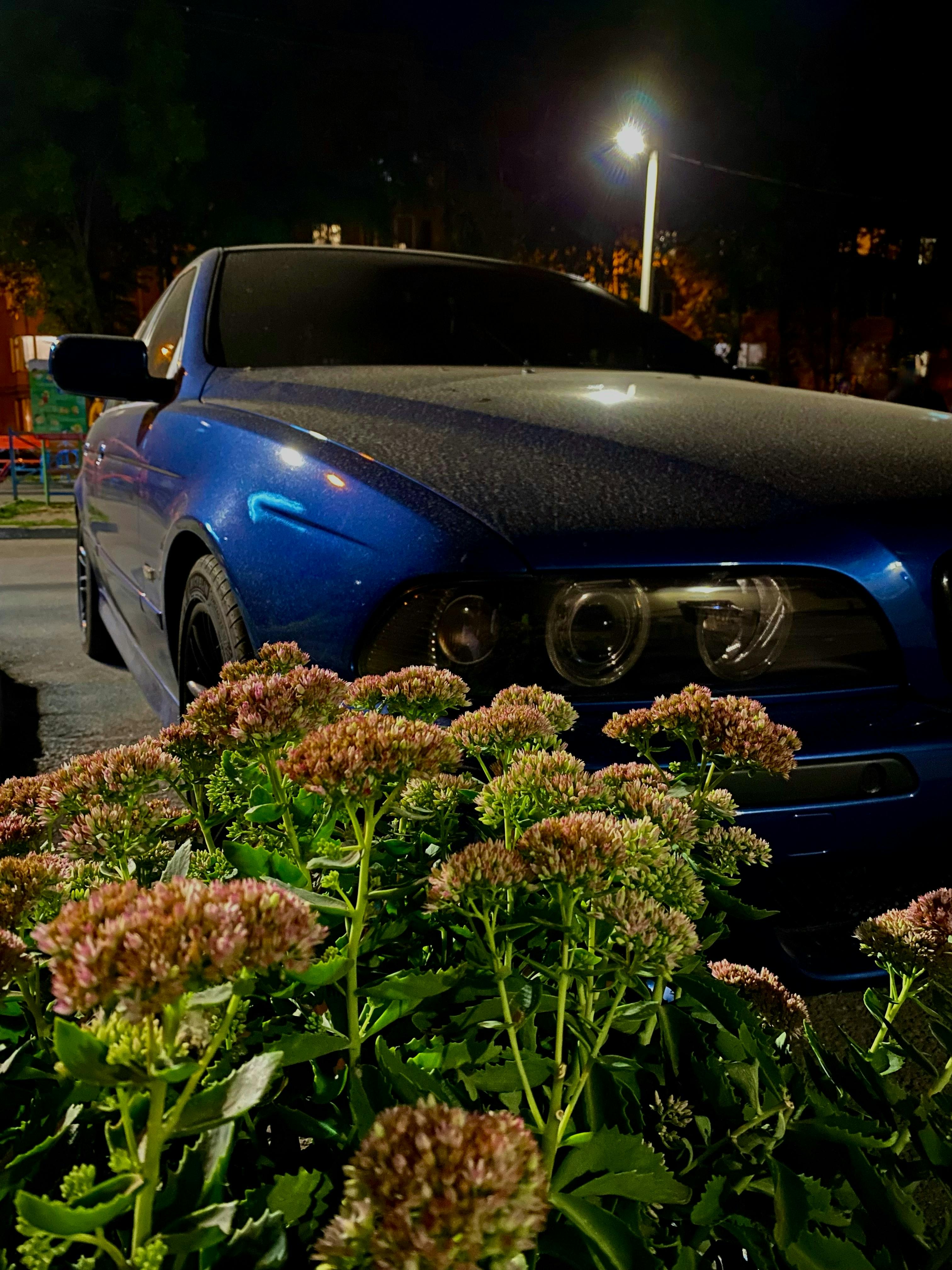 Anna Madera - Photography