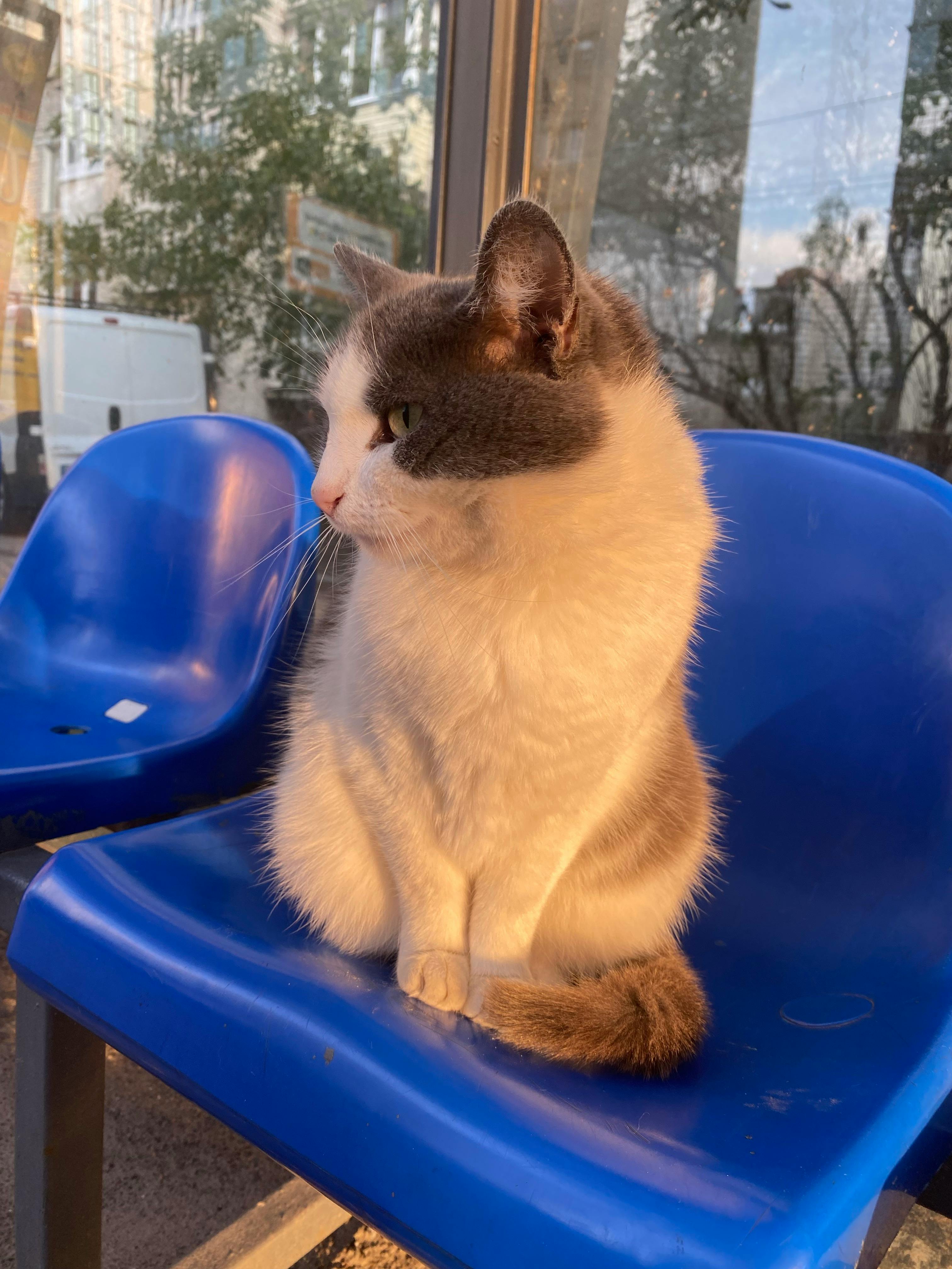 Anna Madera - Photography