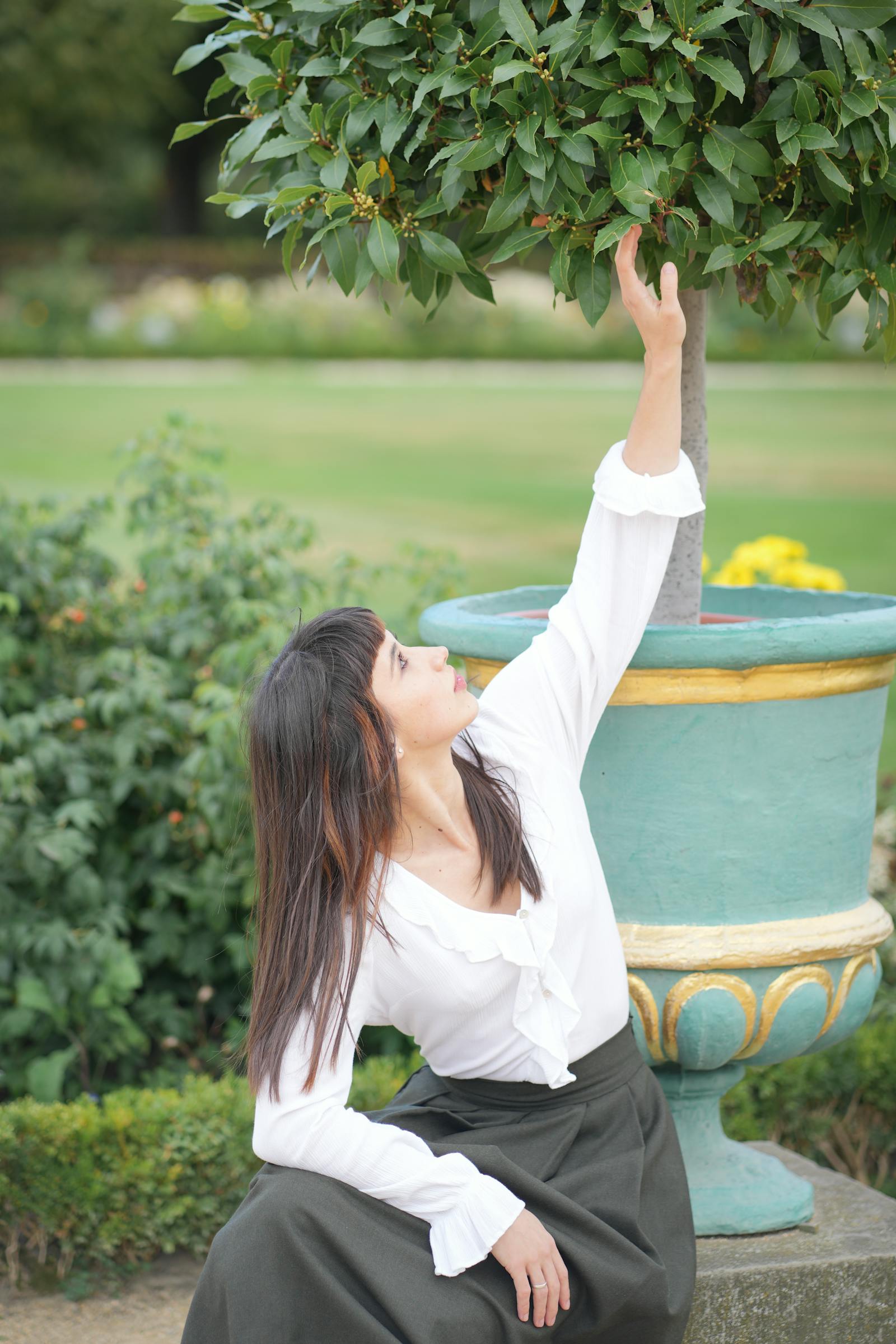 Citrus Tree Photos, Download The BEST Free Citrus Tree Stock Photos ...