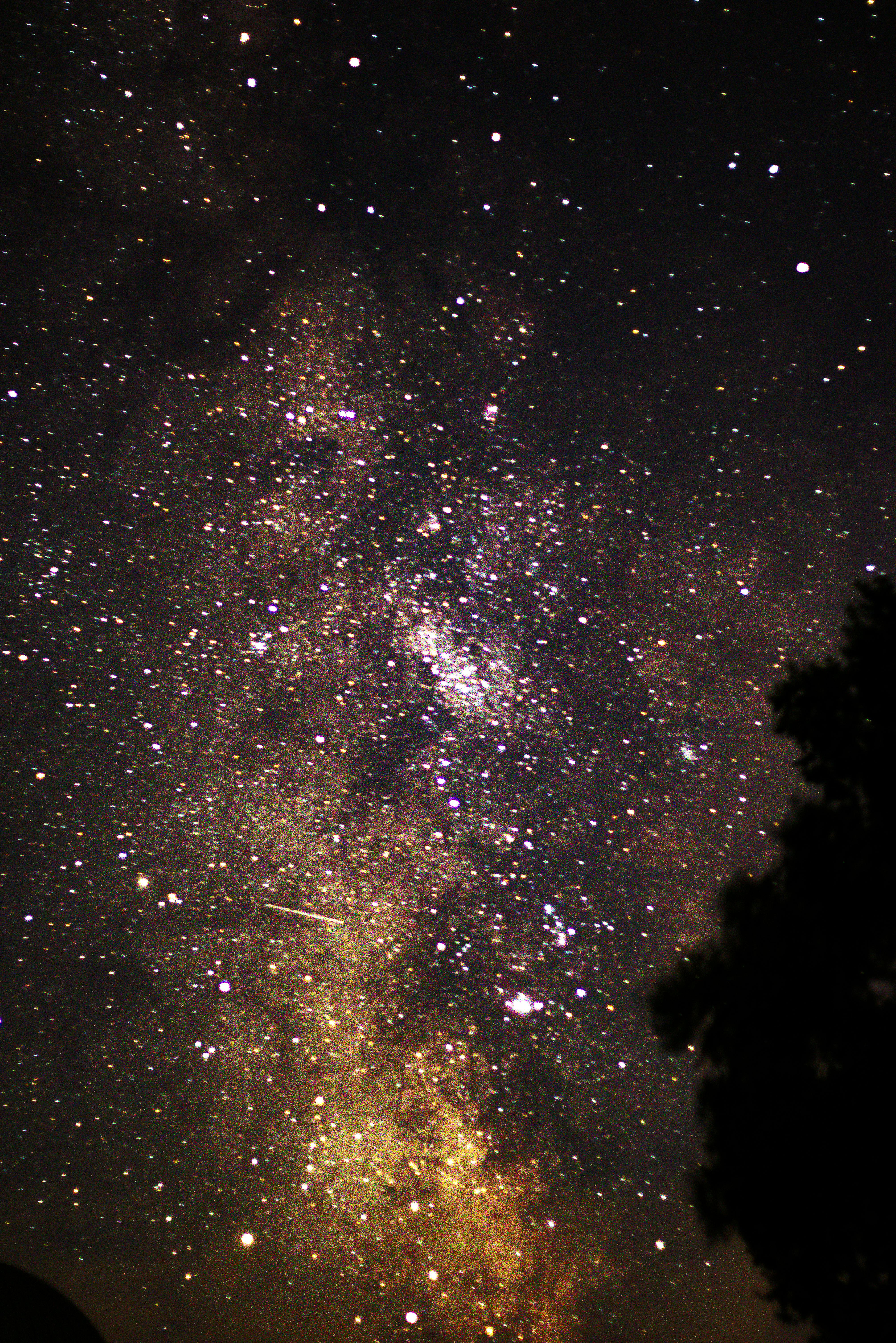 Michael Pacheco - Photography