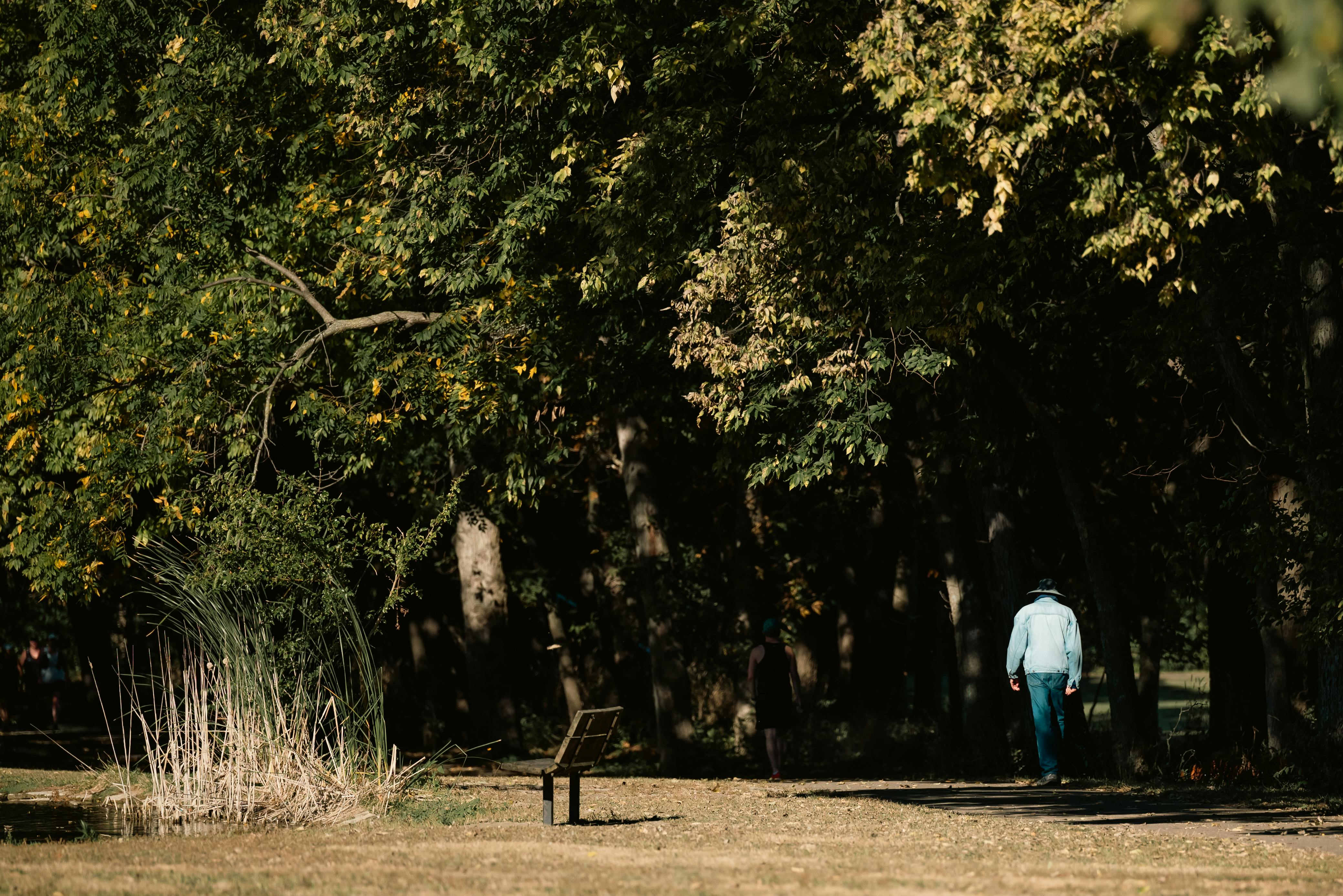 Walked Unsteadily Photos, Download The BEST Free Walked Unsteadily ...