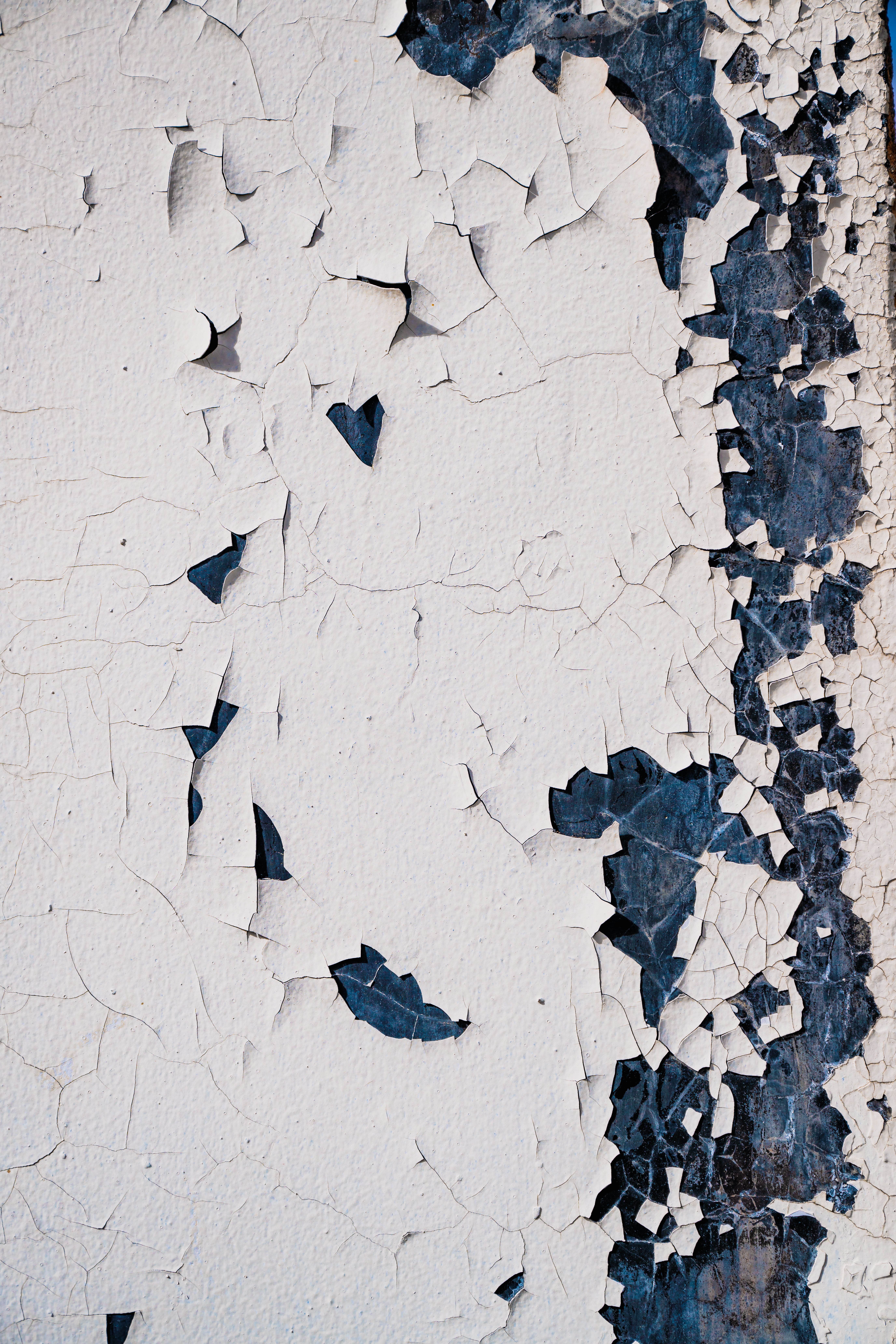 20 000+ Drevo Texture banque d’images et photos libres de droit ...