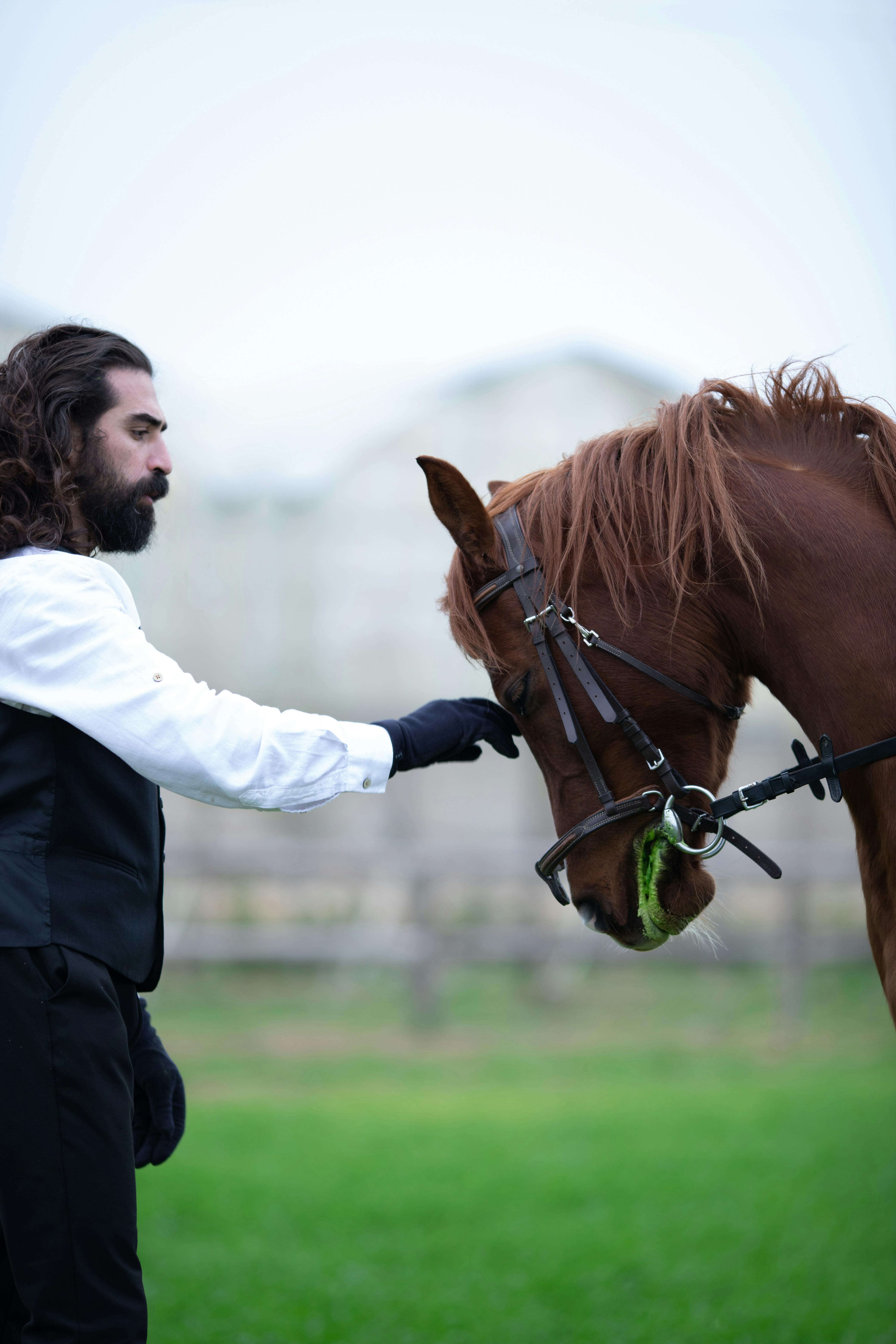 Horse Pipe Ovocie Photos, Download The BEST Free Horse Pipe Ovocie ...