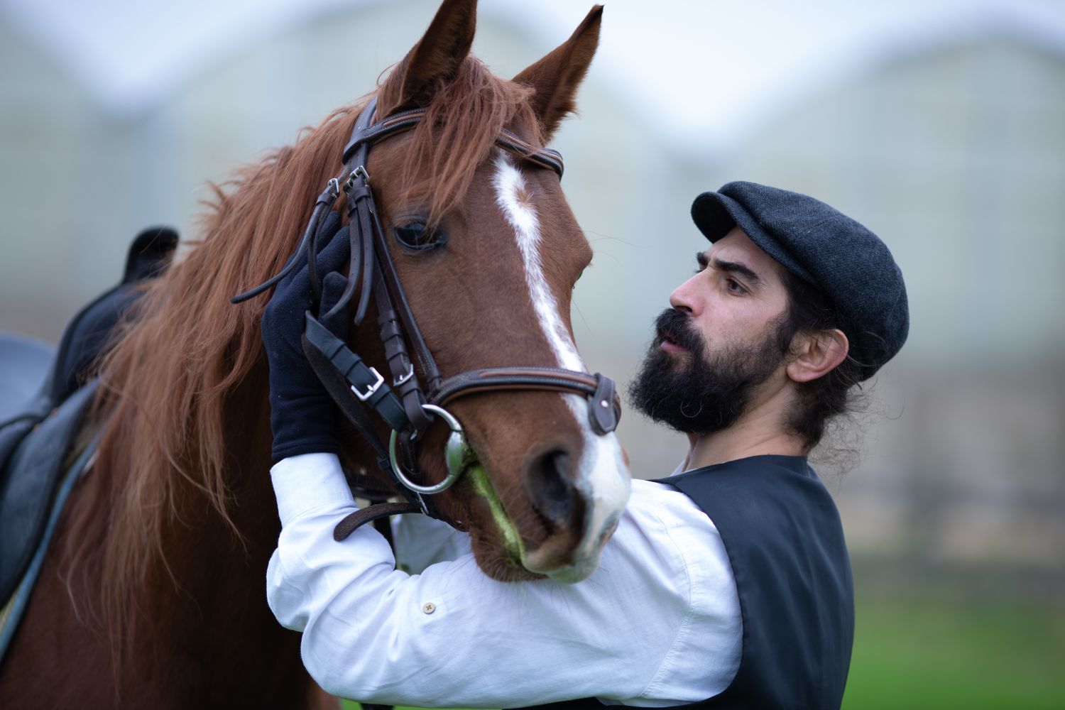 Le 6000+ migliori foto di Uomo Con Cavallo · Download gratuito al 100% ...