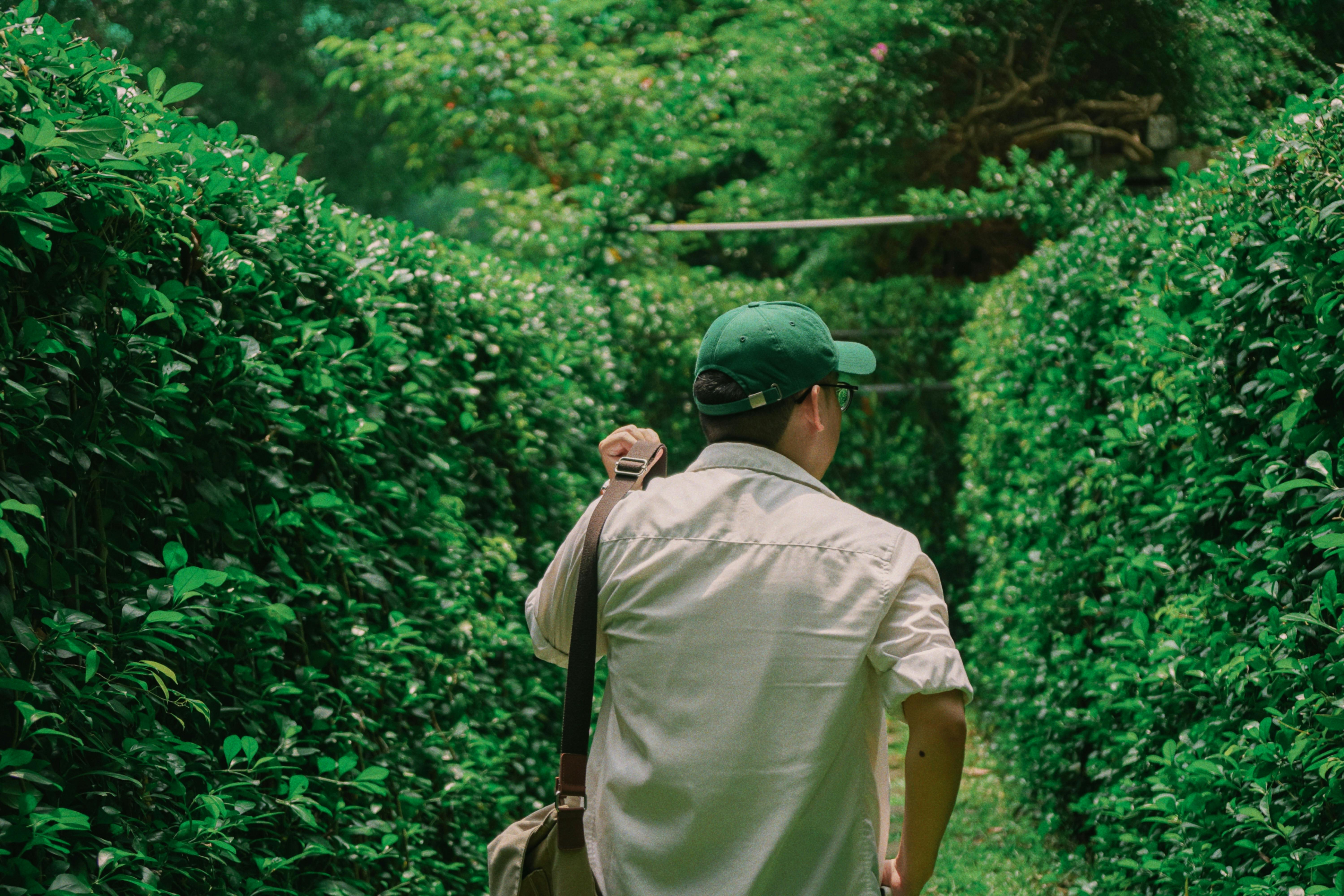 High Hedges Photos, Download The BEST Free High Hedges Stock Photos ...