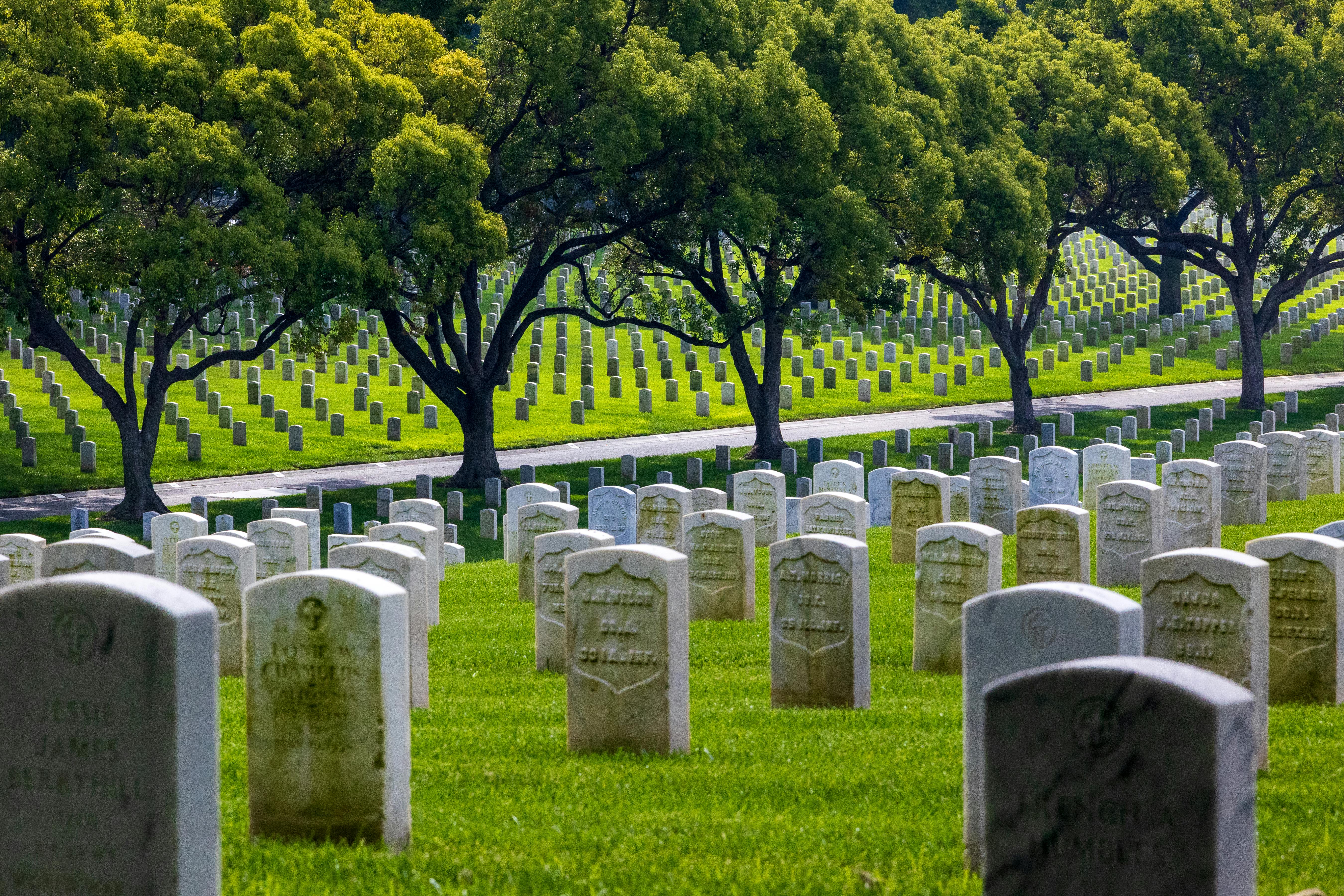 Simple Tombstones on Cemetery · Free Stock Photo