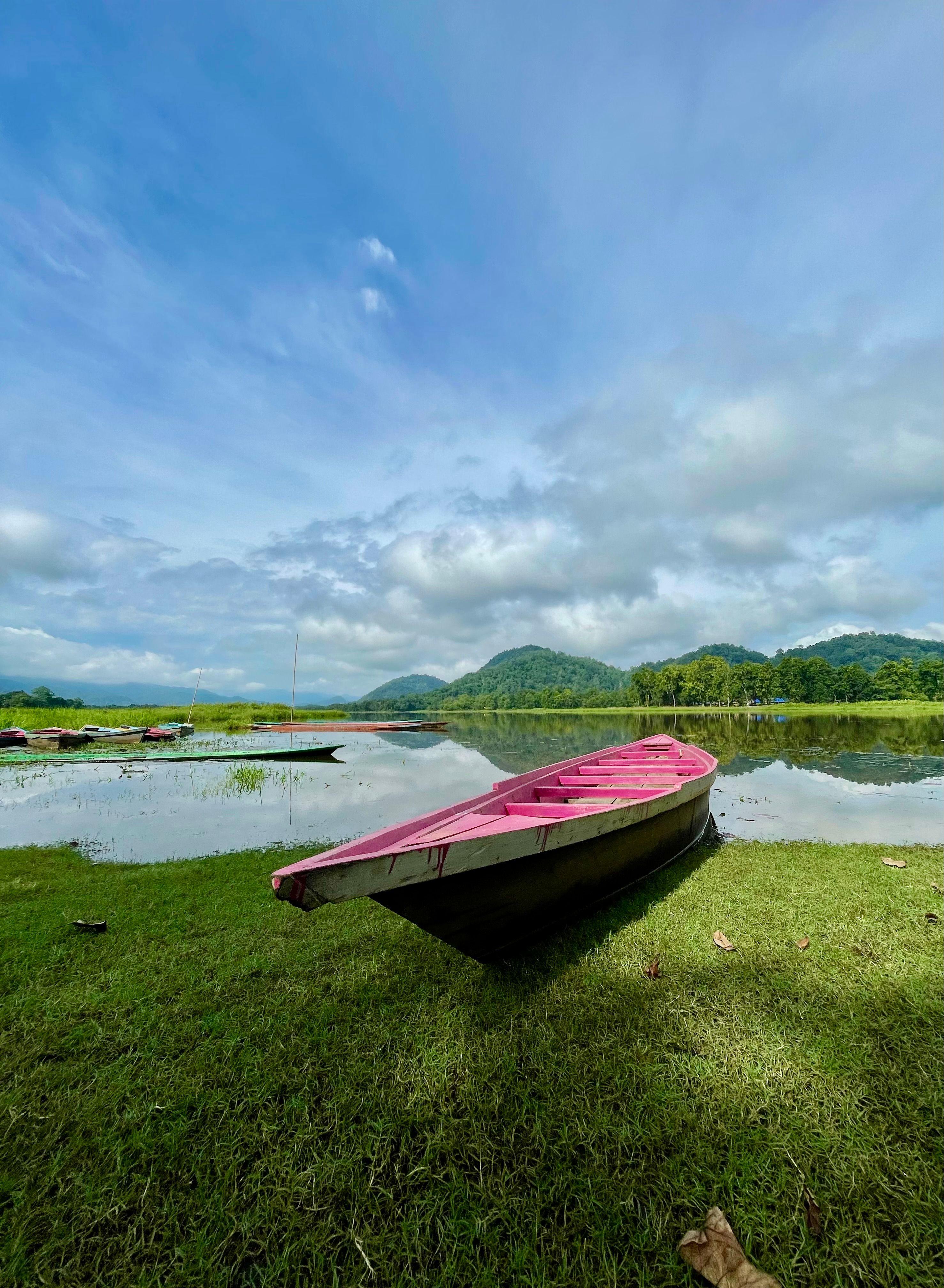A Boat on a Riverbank · Free Stock Photo