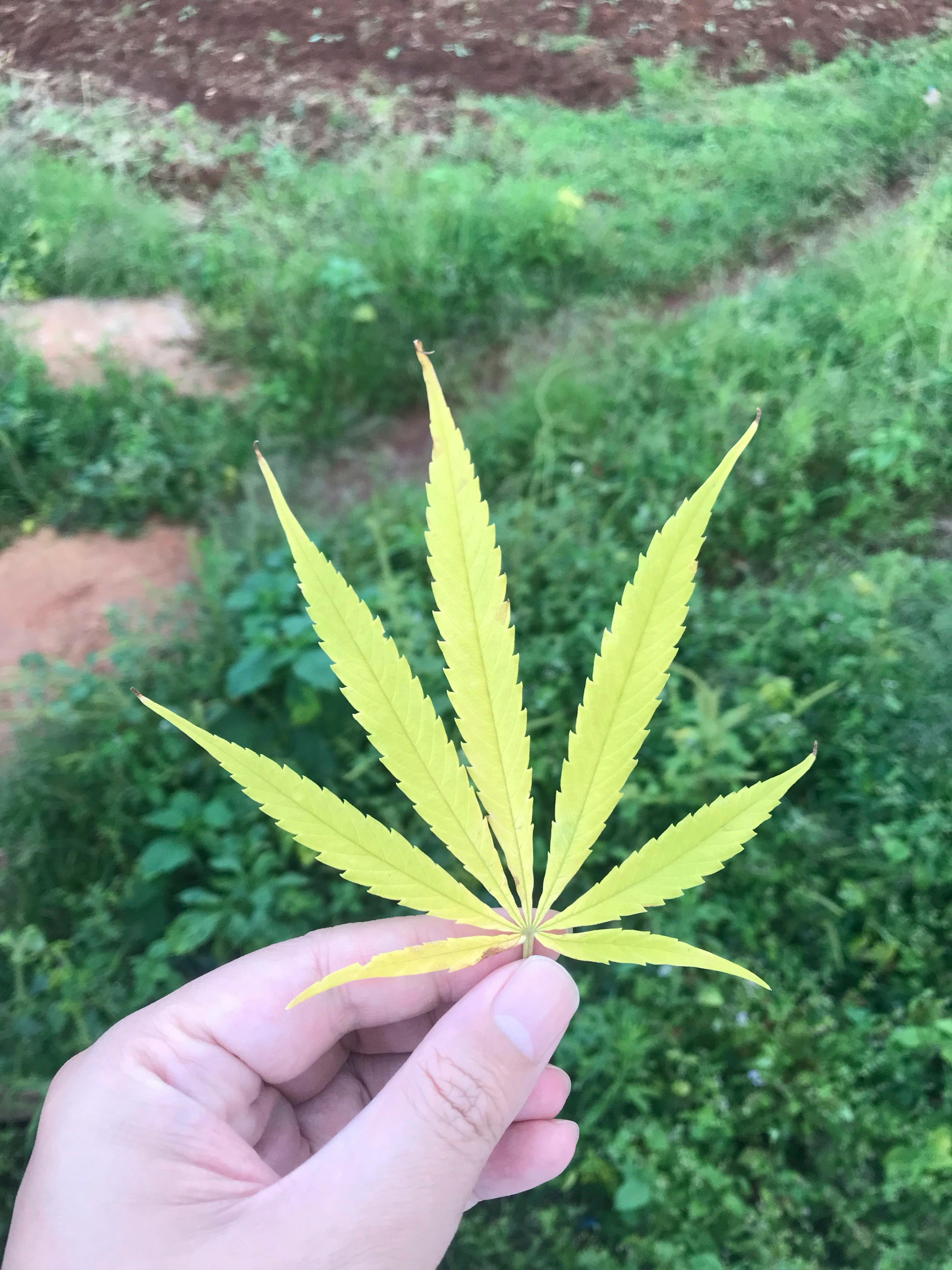 Ko Aung Min Htoo - Fotografía