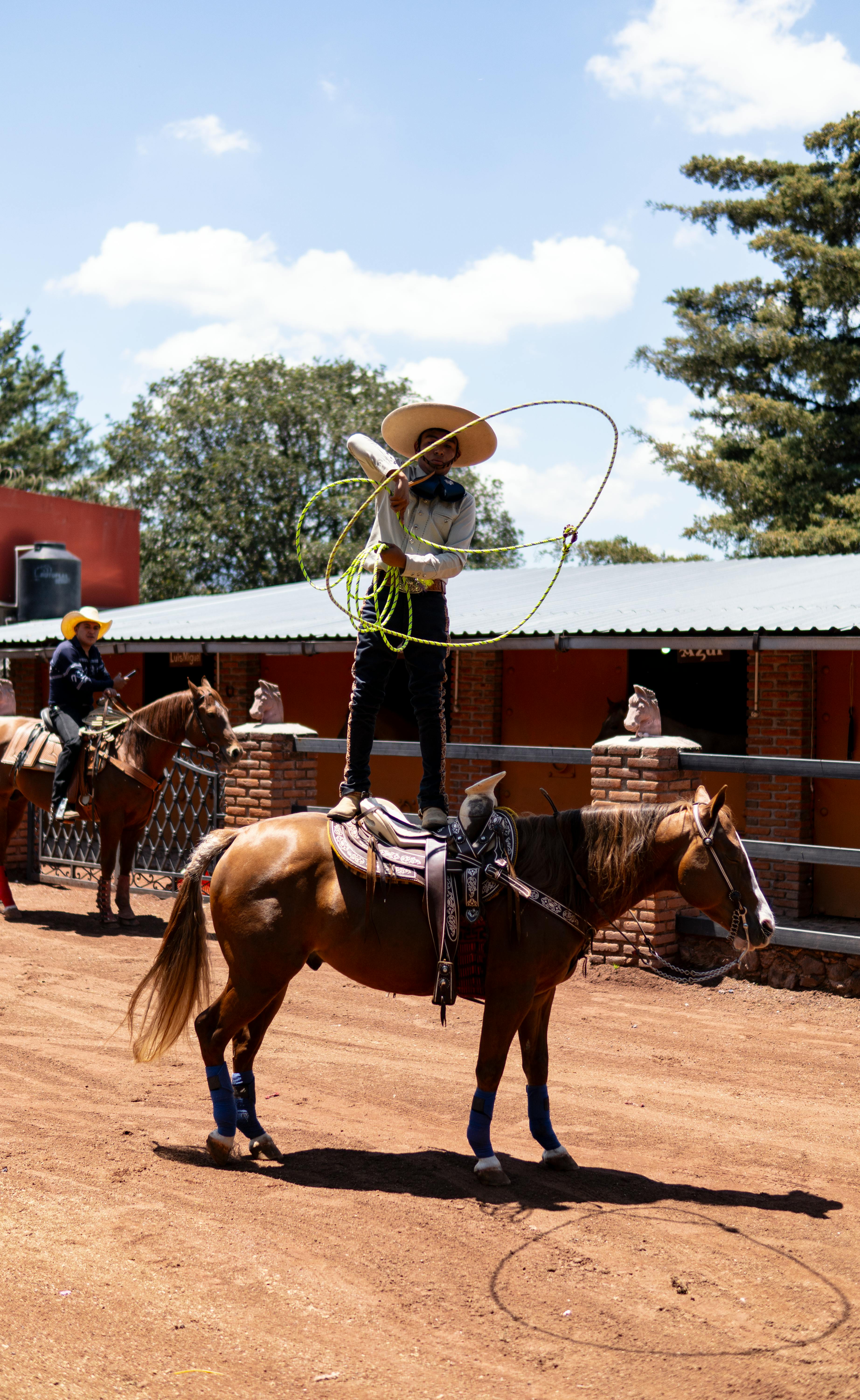 Cowboy with Lasso Standing on a Horse · Free Stock Photo