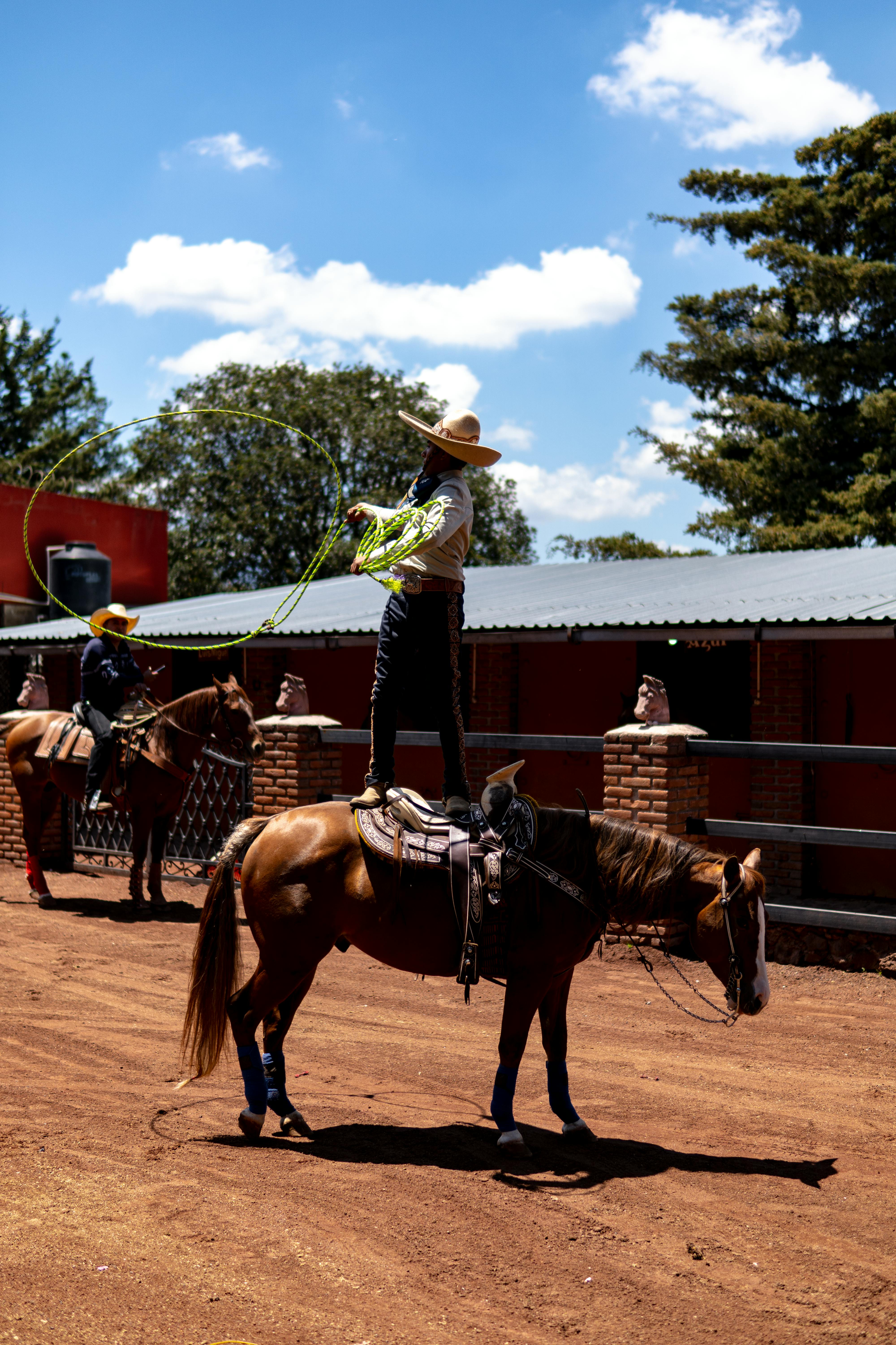 Cowboy Standing on a Horse · Free Stock Photo