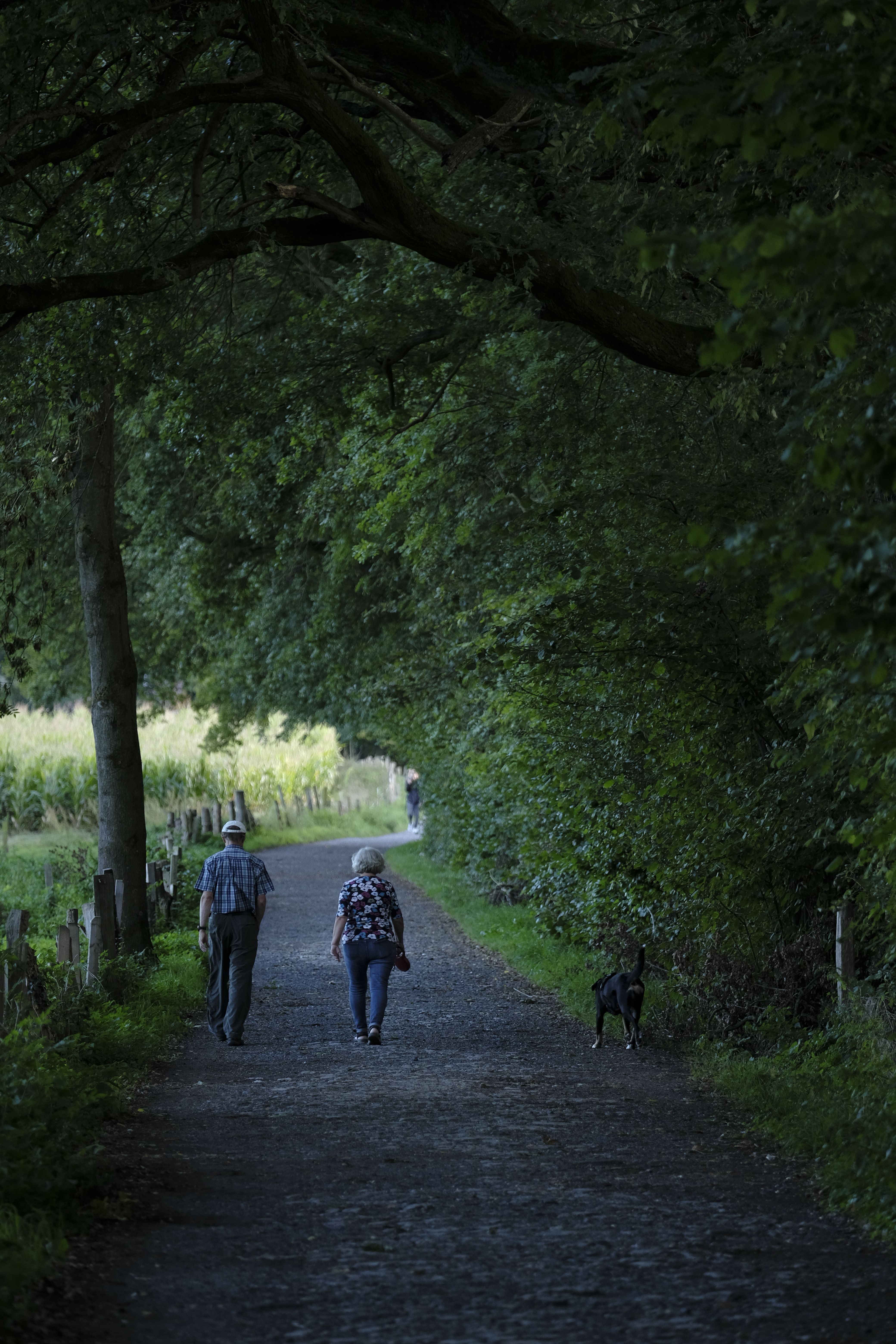 Couple Holding Hands and Walking in Town in Countryside · Free Stock Photo
