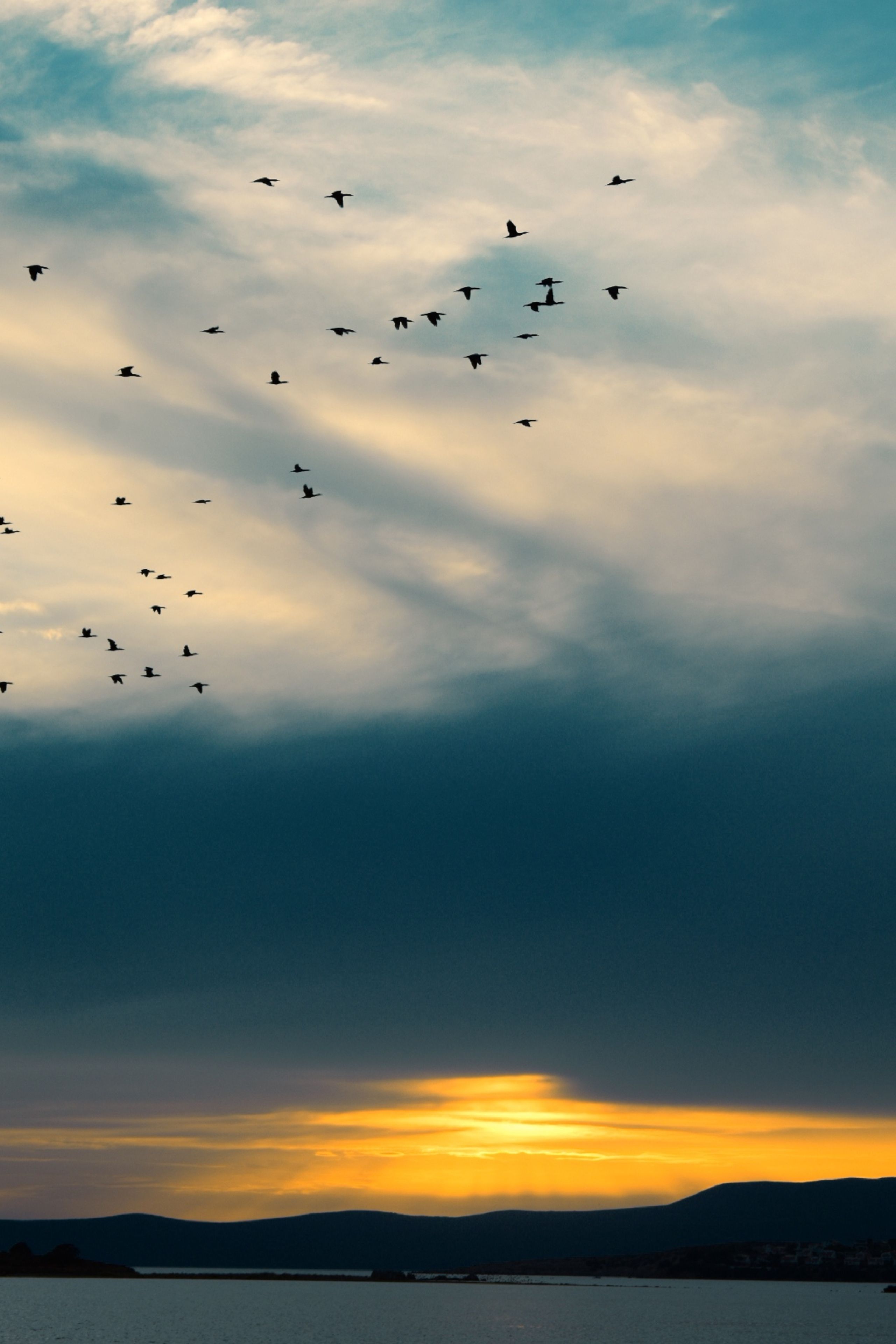 Birds Flying over the Water at Sunset · Free Stock Photo