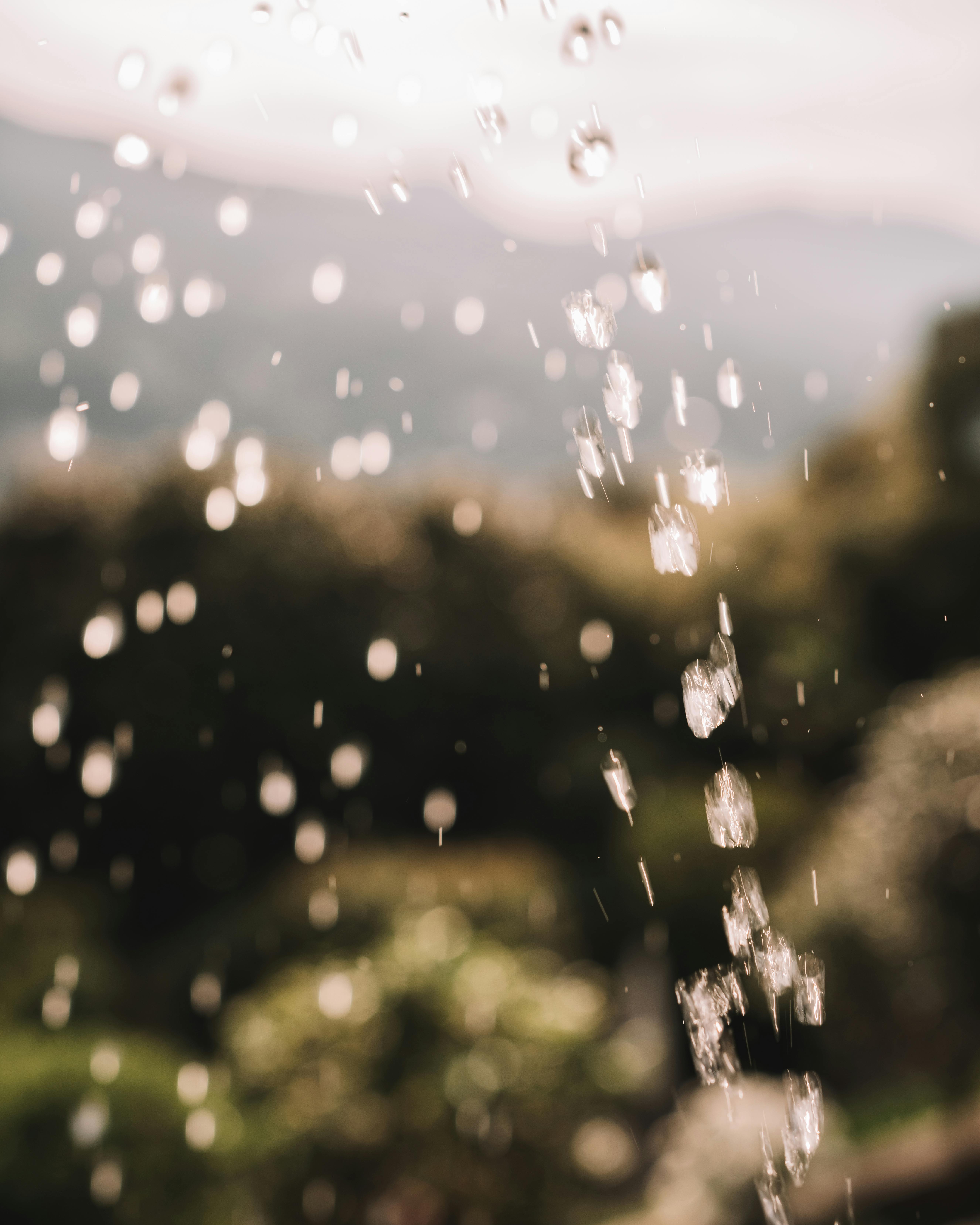 Falling Dew Photos, Download The BEST Free Falling Dew Stock Photos ...
