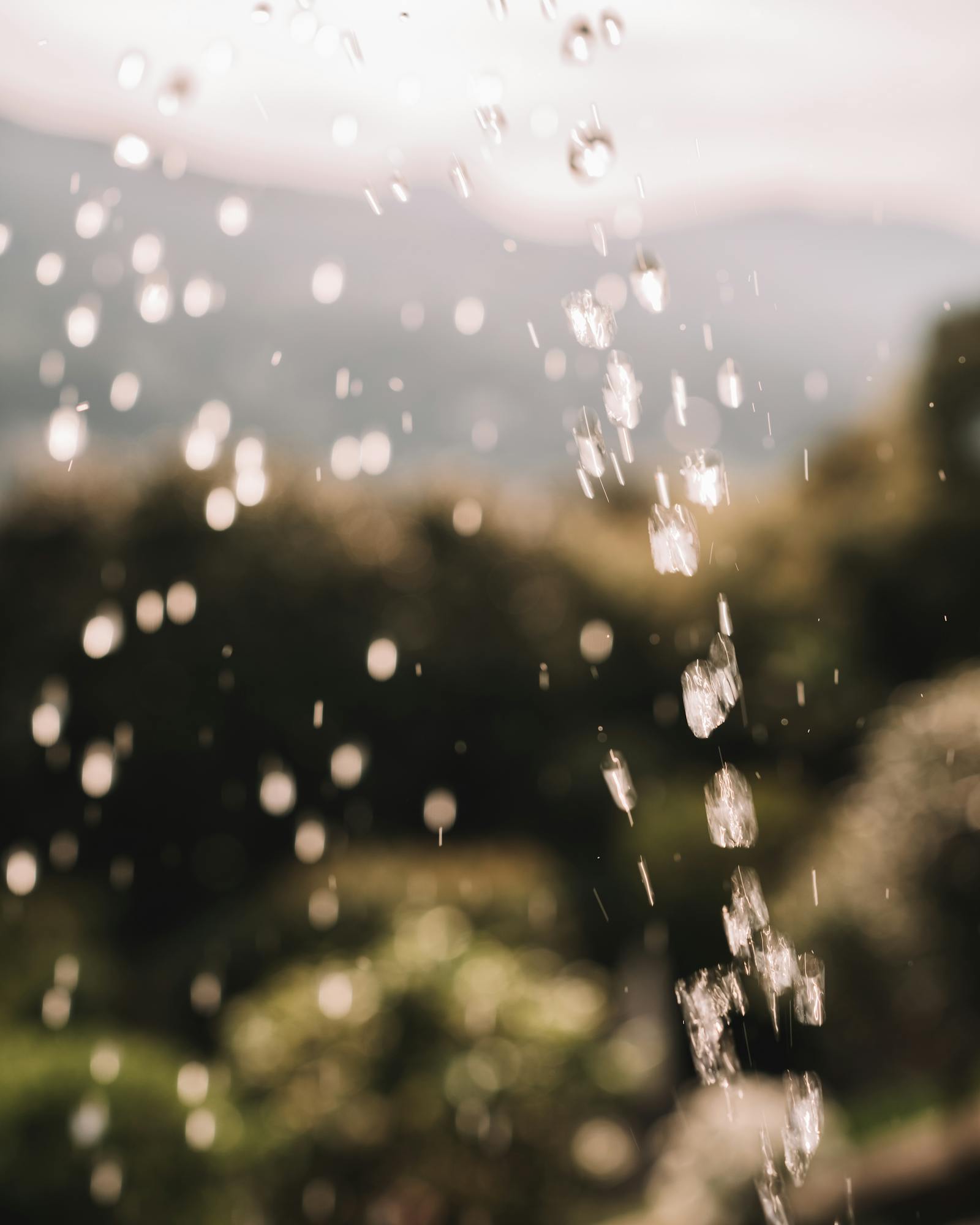 Raindrops Falling Photos, Download The BEST Free Raindrops Falling Stock Photos & HD Images