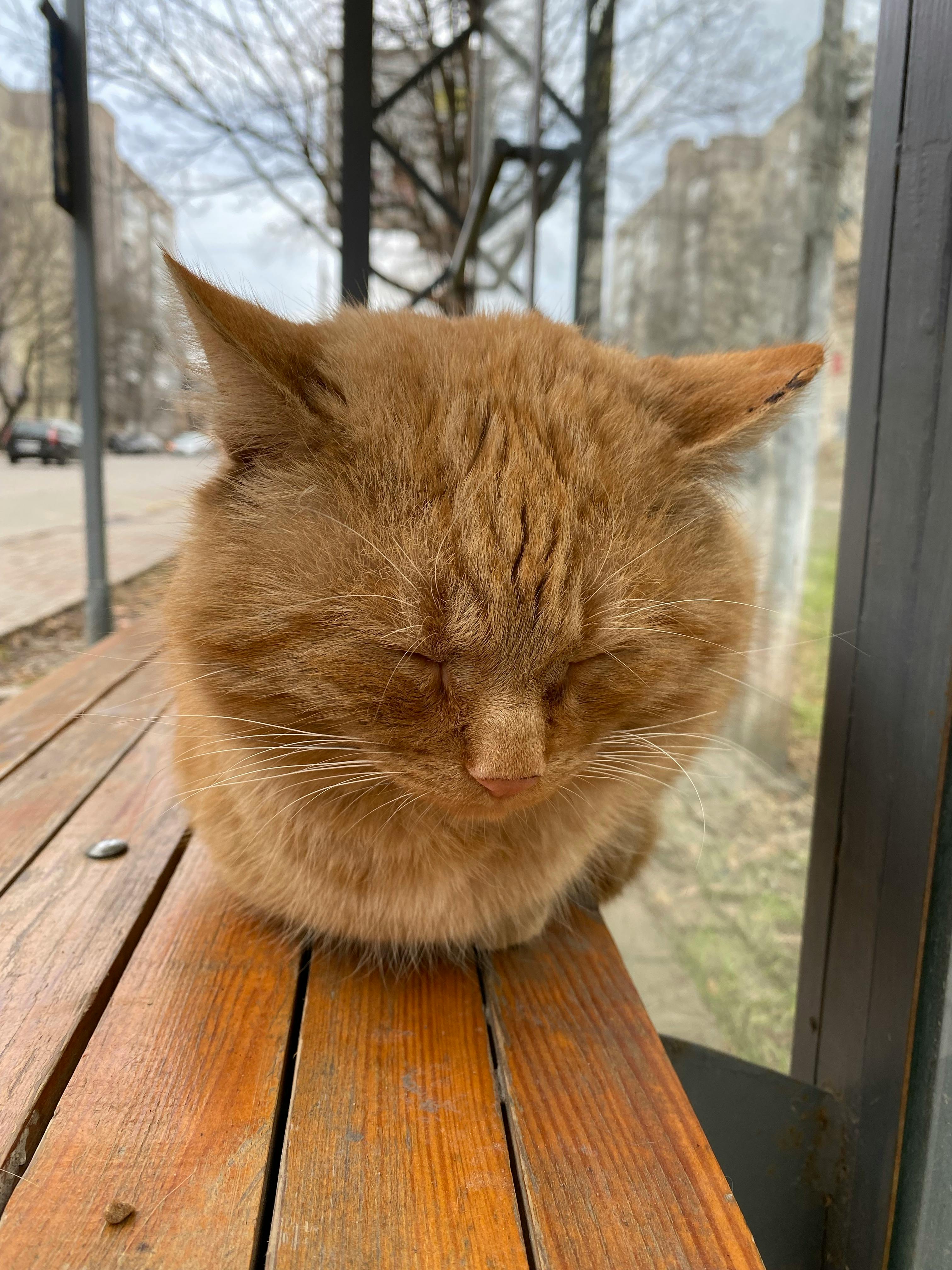 Anna Madera - Photography